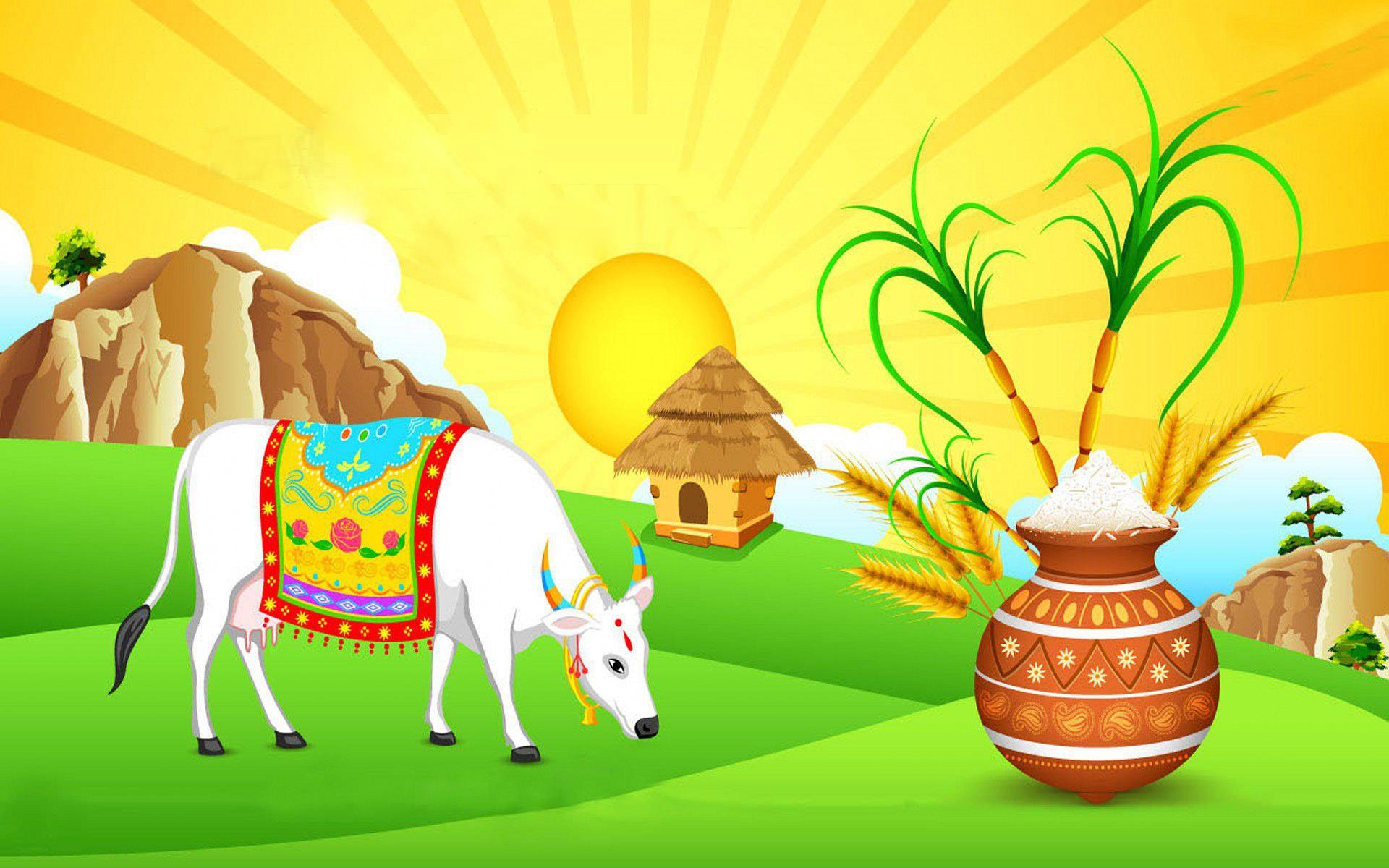 Pongal Festival Wallpapers - Top Free Pongal Festival Backgrounds ...