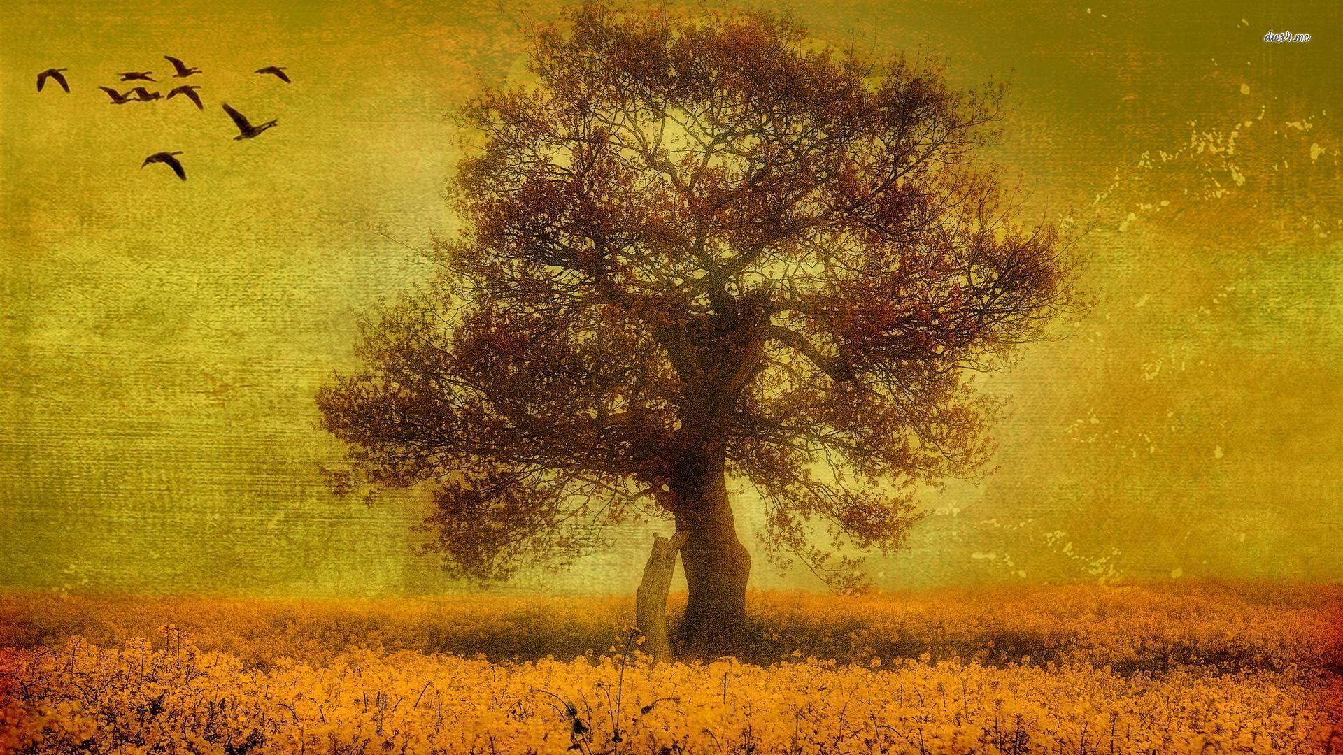 Bird and Tree Desktop Wallpapers - Top Free Bird and Tree Desktop ...