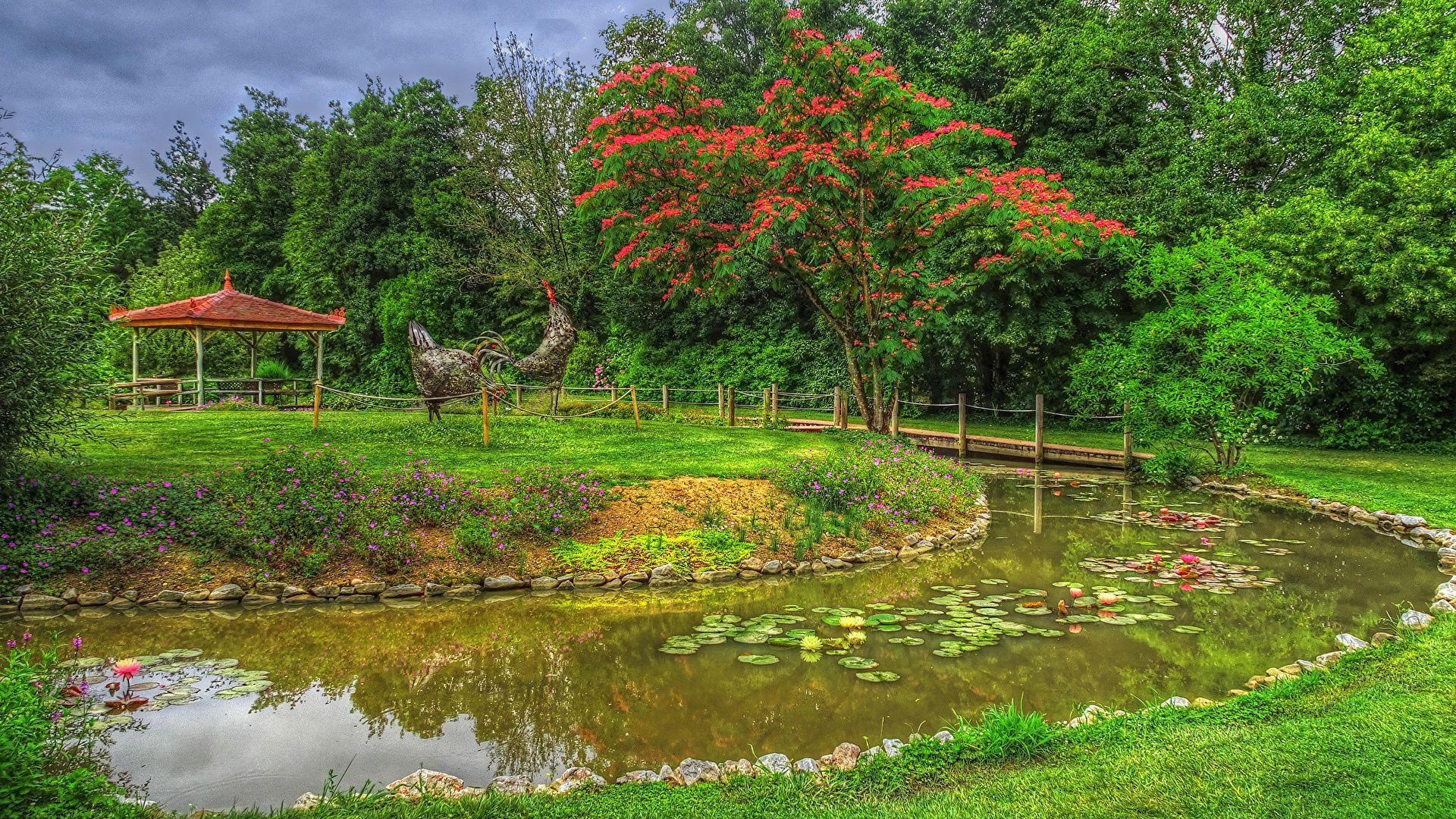 Bird and Tree Desktop Wallpapers - Top Free Bird and Tree Desktop ...