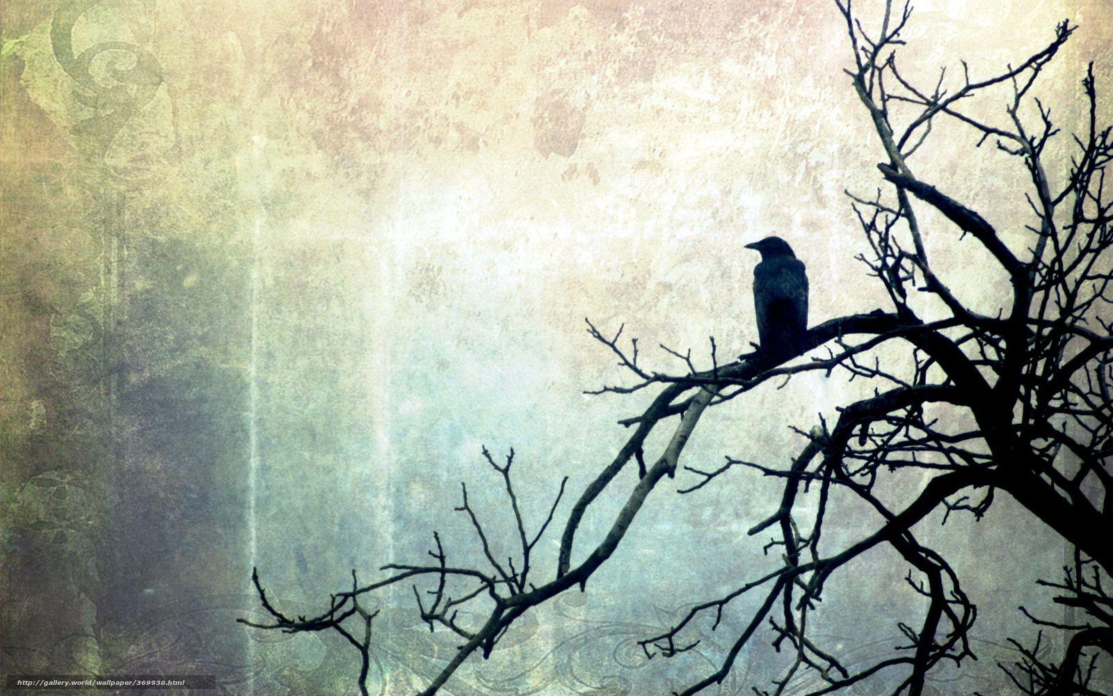 Bird and Tree Desktop Wallpapers - Top Free Bird and Tree Desktop ...
