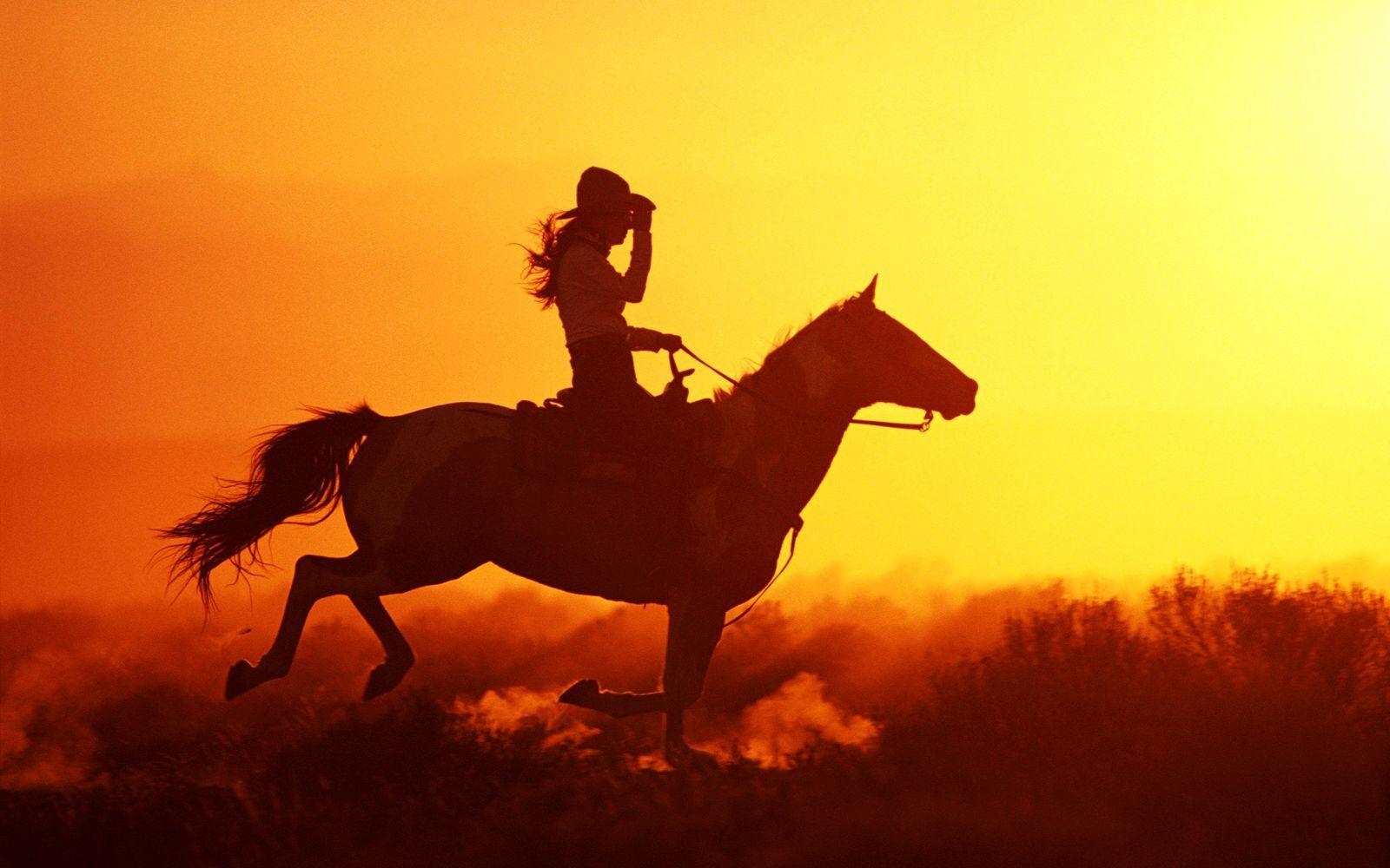 Horse Rider Wallpapers - Top Free Horse Rider Backgrounds - WallpaperAccess