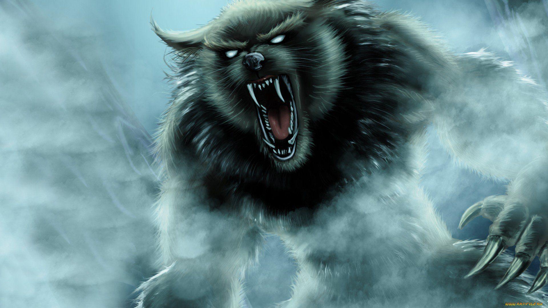 Scary Werewolf Wallpapers - Top Free Scary Werewolf Backgrounds ...