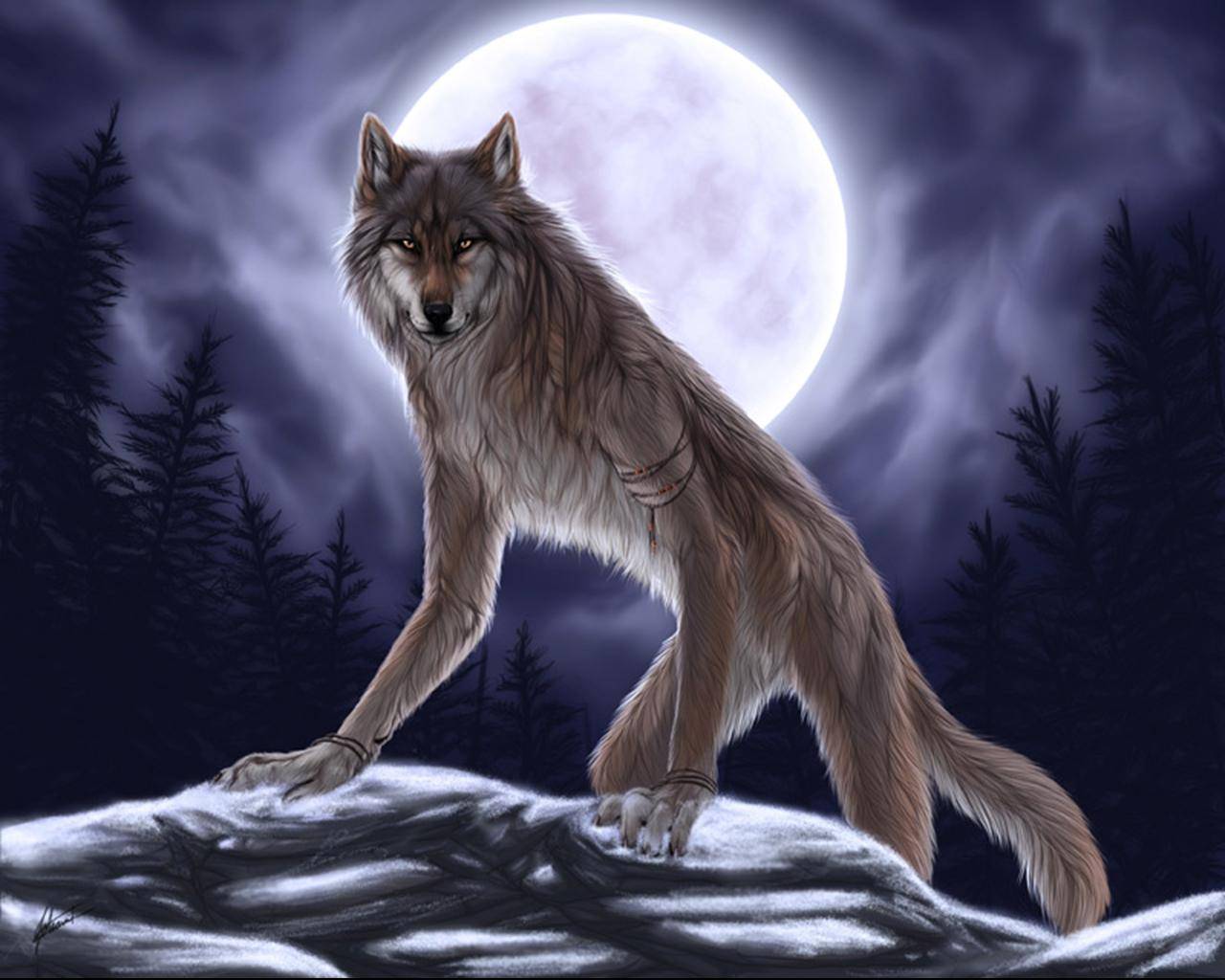 Cool Werewolf Wallpapers - Top Free Cool Werewolf Backgrounds ...