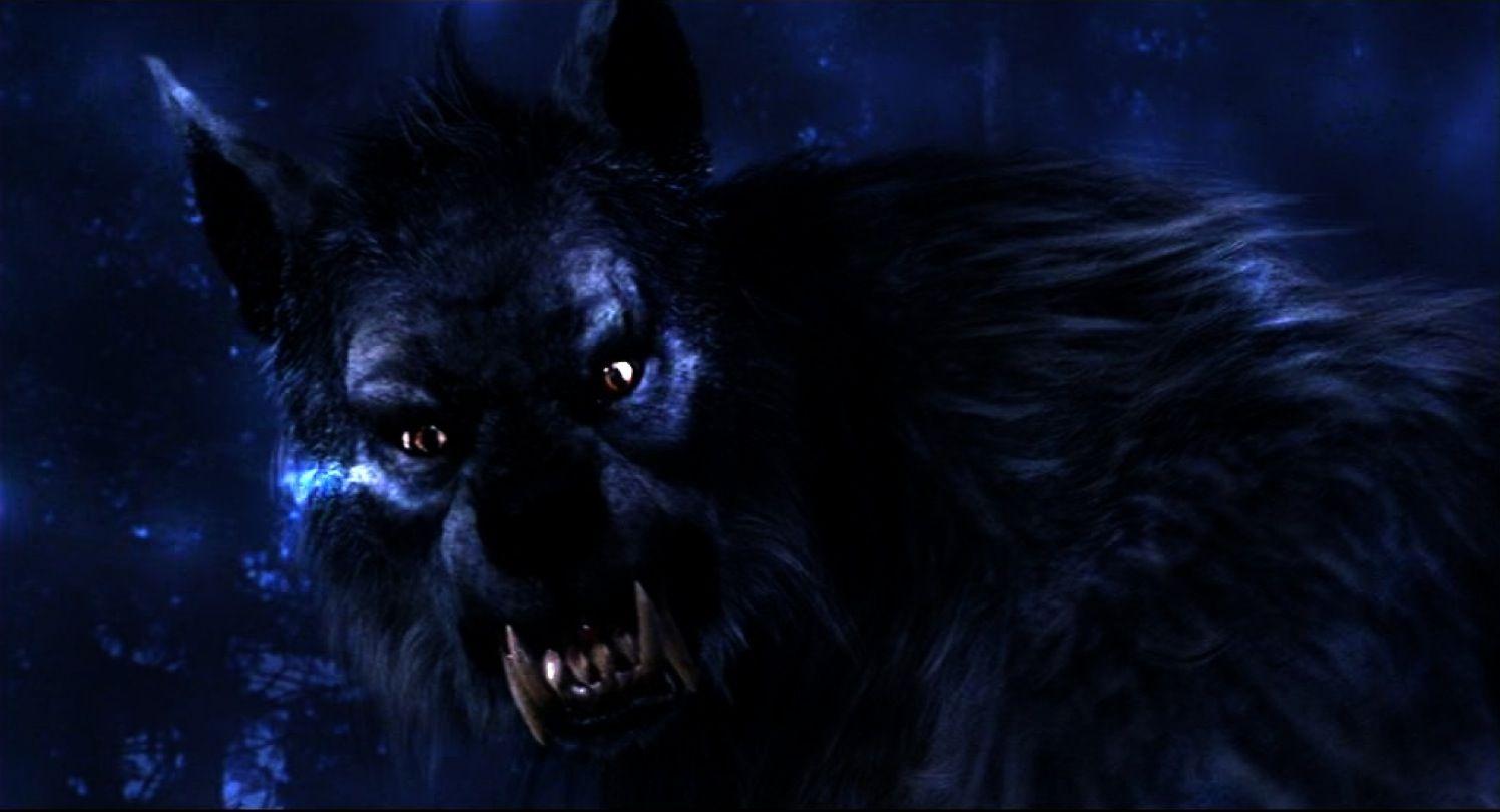 Cool Werewolf Wallpapers - Top Free Cool Werewolf Backgrounds ...