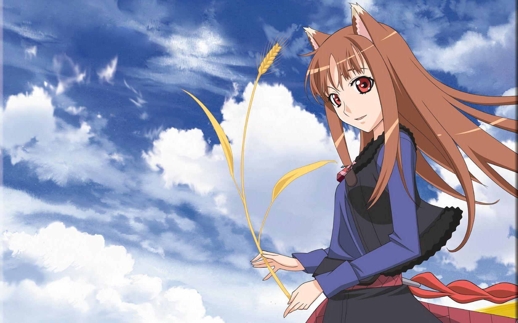 Chibi Wolf Wallpapers - Top Free Chibi Wolf Backgrounds - WallpaperAccess