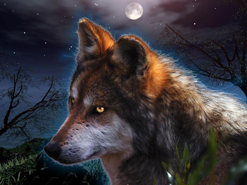 Chibi Wolf Wallpapers - Top Free Chibi Wolf Backgrounds - WallpaperAccess