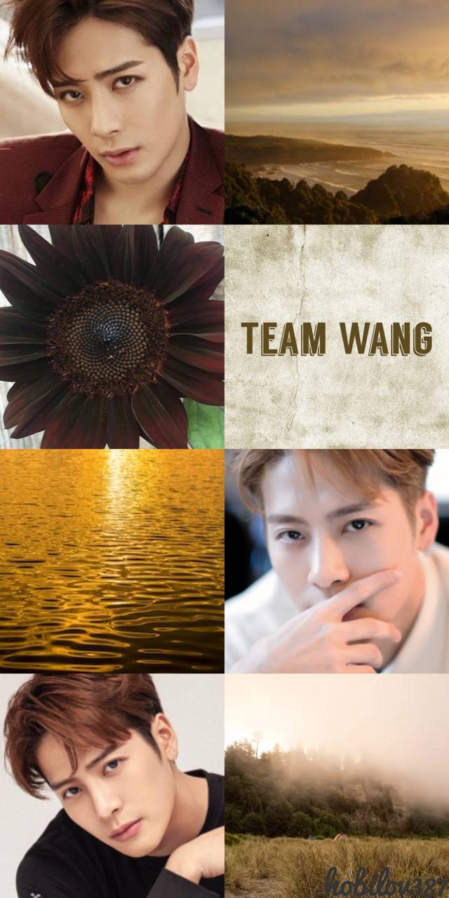 Team Wang Wallpapers - Top Free Team Wang Backgrounds - WallpaperAccess