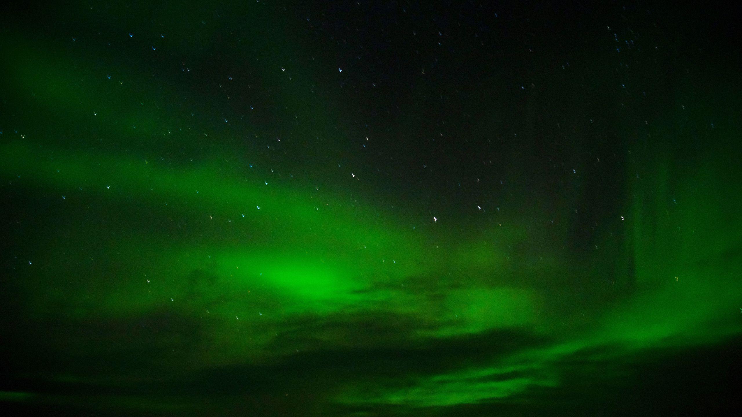 Green 8k Wallpapers - Top Free Green 8k Backgrounds - WallpaperAccess