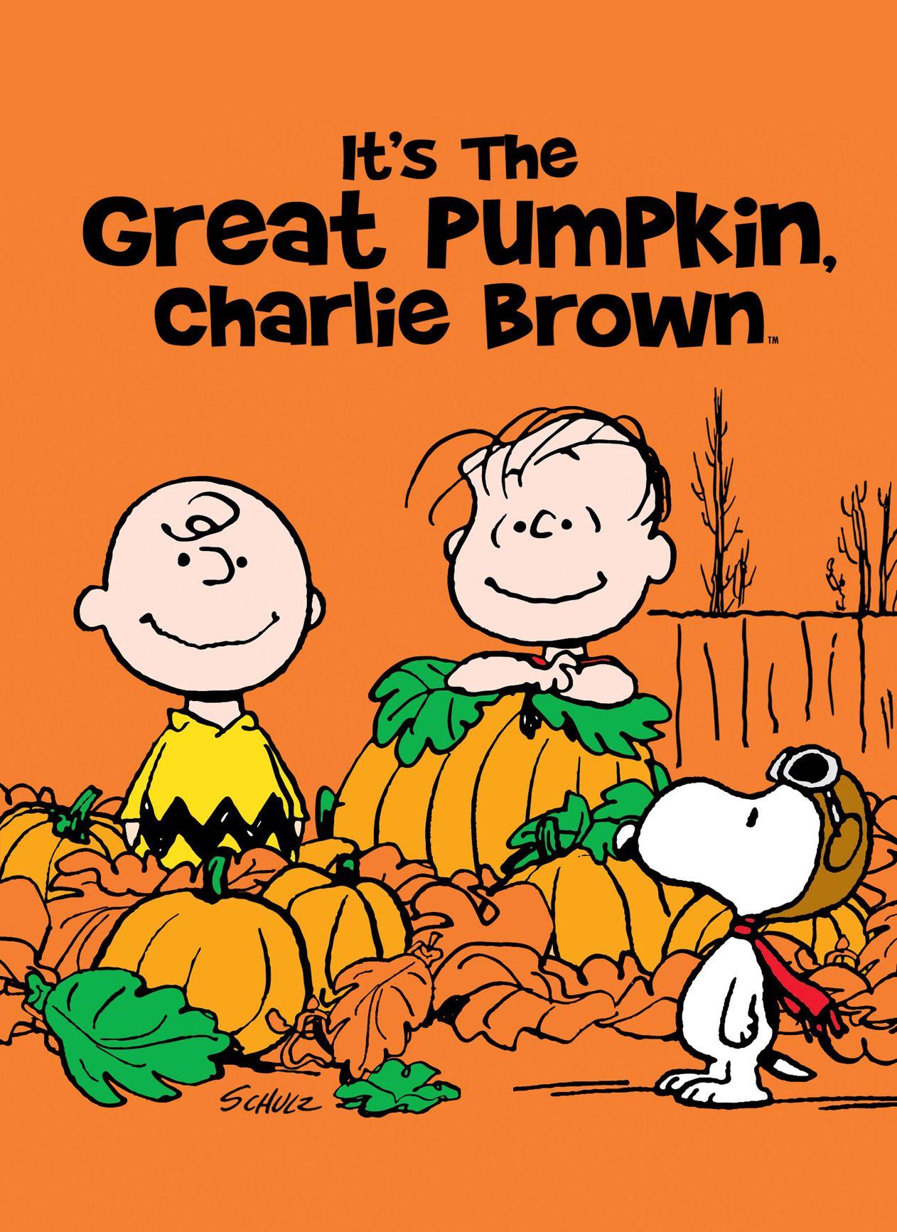Charlie Brown Autumn Wallpapers - Top Free Charlie Brown Autumn ...