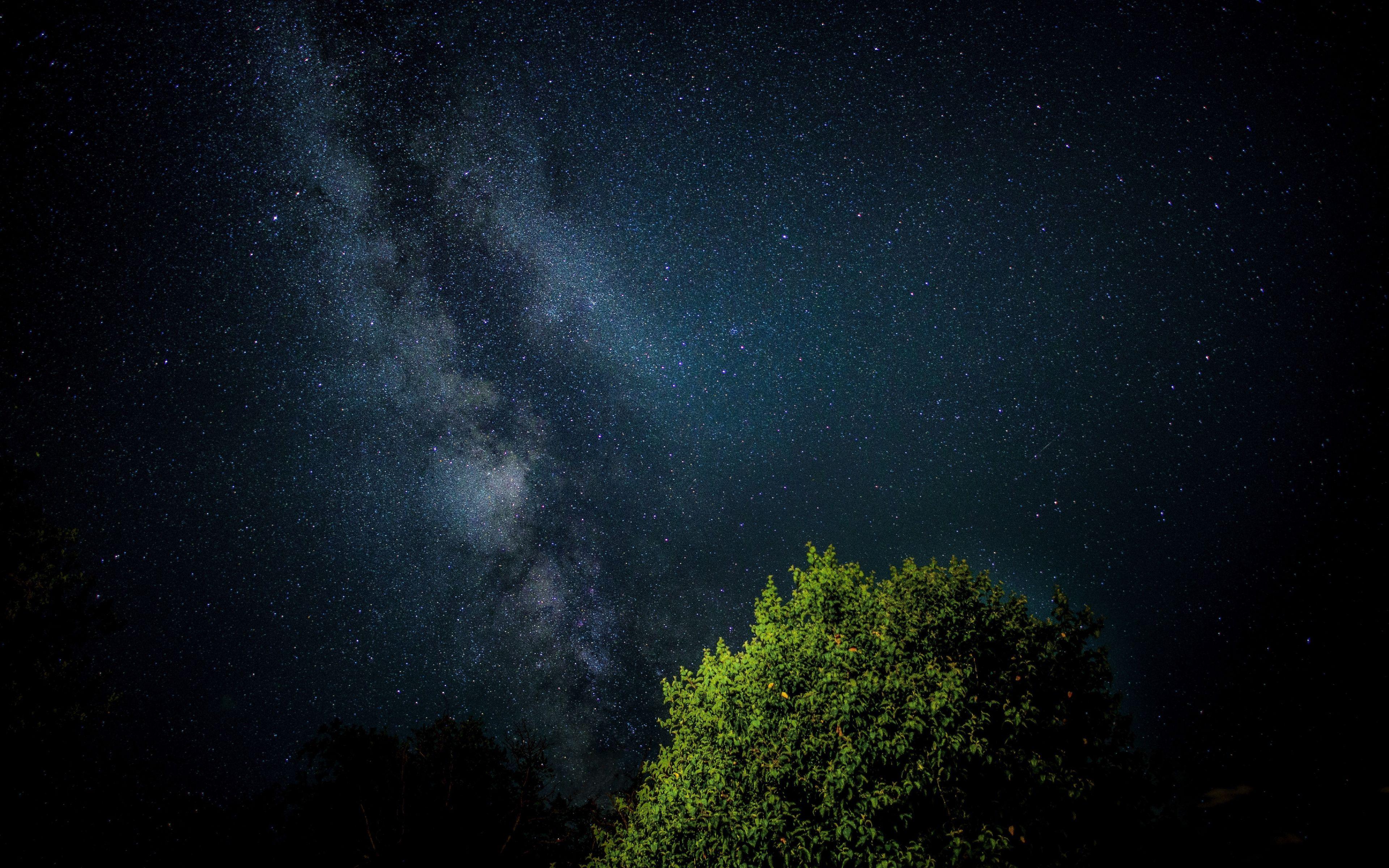 Galaxy Tree Wallpapers - Top Free Galaxy Tree Backgrounds - WallpaperAccess