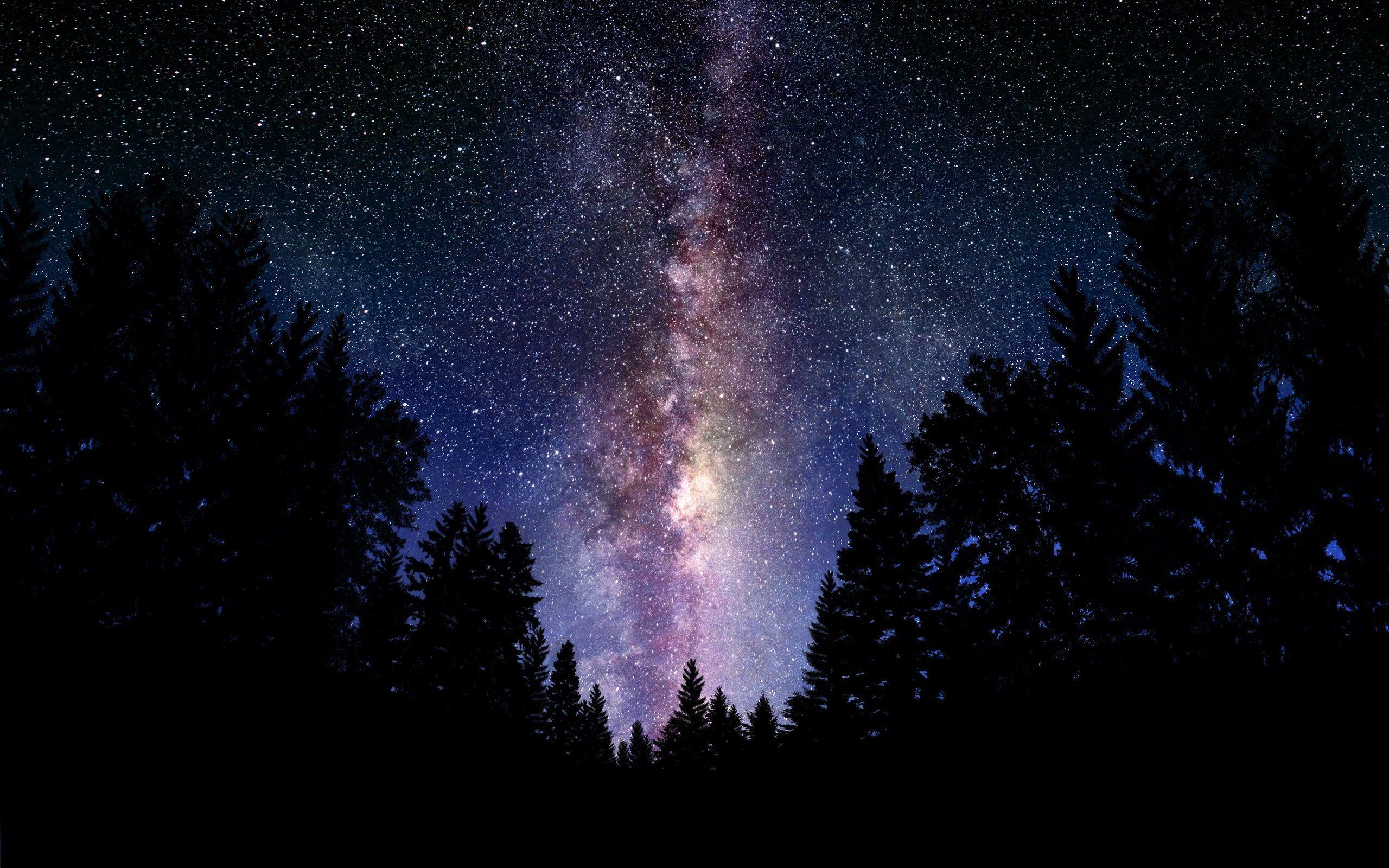 Galaxy Tree Wallpapers - Top Free Galaxy Tree Backgrounds - WallpaperAccess