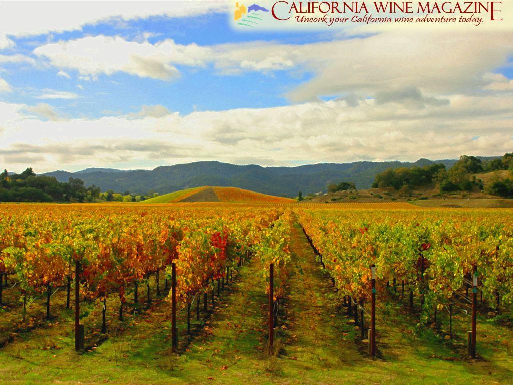 California Vineyard Wallpapers - Top Free California Vineyard ...