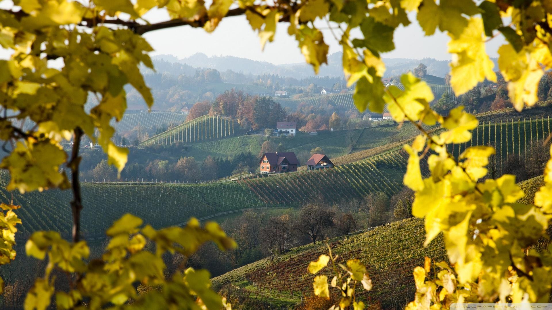Wine Country Wallpapers - Top Free Wine Country Backgrounds - WallpaperAccess