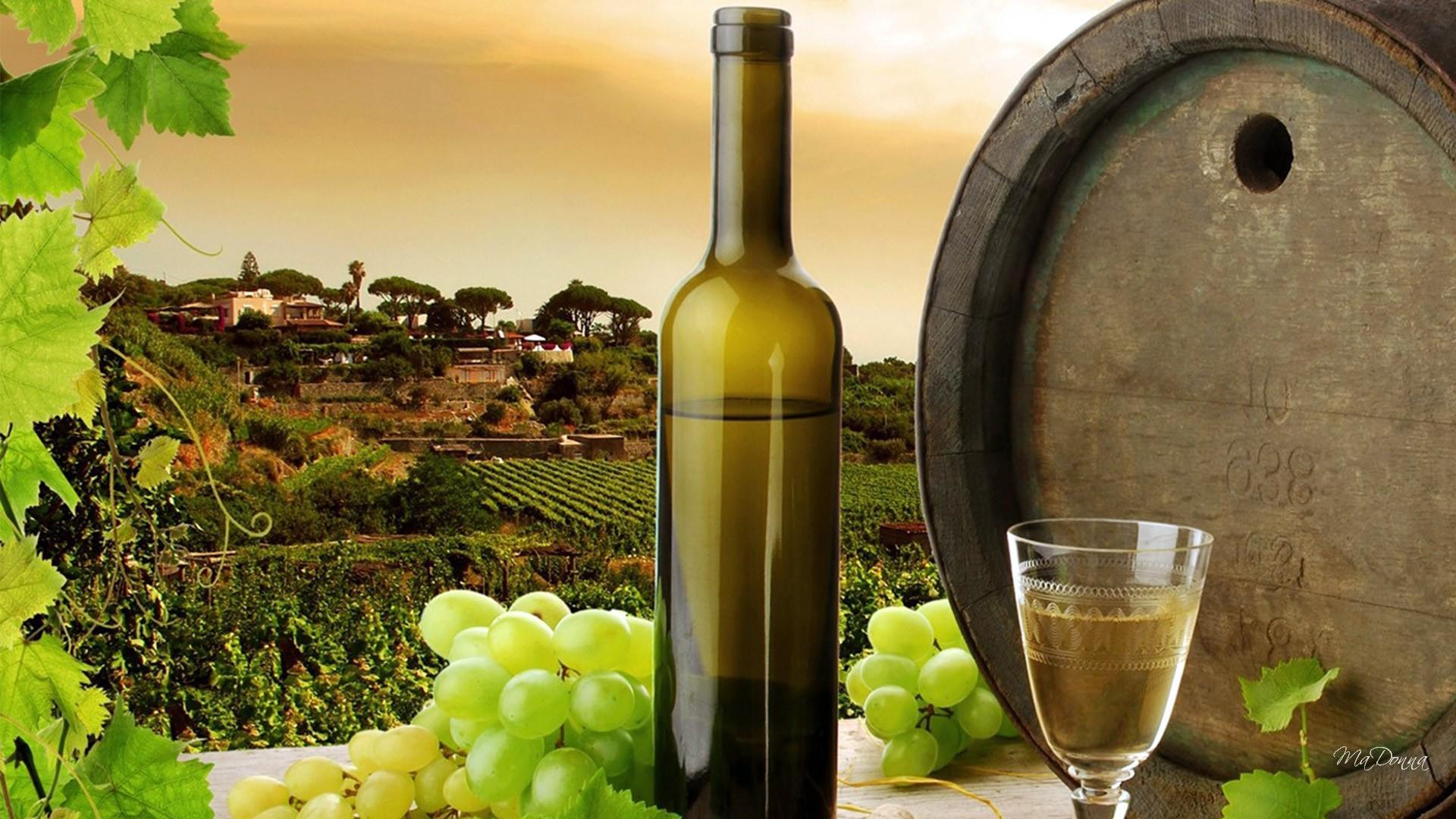 Wine Country Wallpapers - Top Free Wine Country Backgrounds - WallpaperAccess