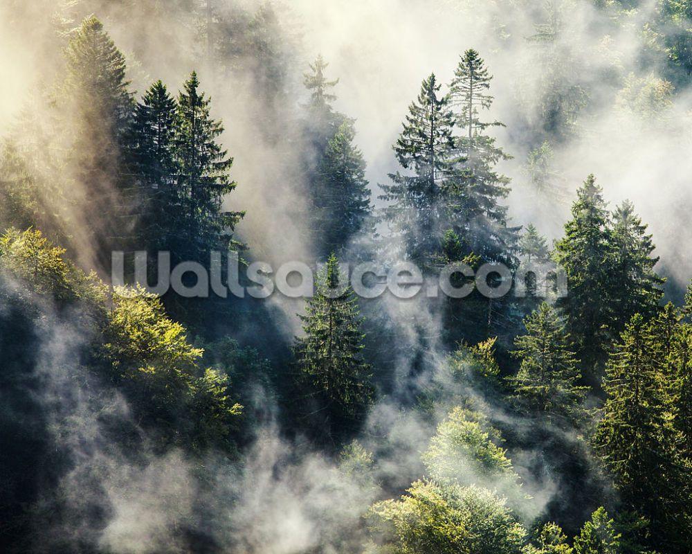 Mythical Forest Wallpapers - Top Free Mythical Forest Backgrounds ...