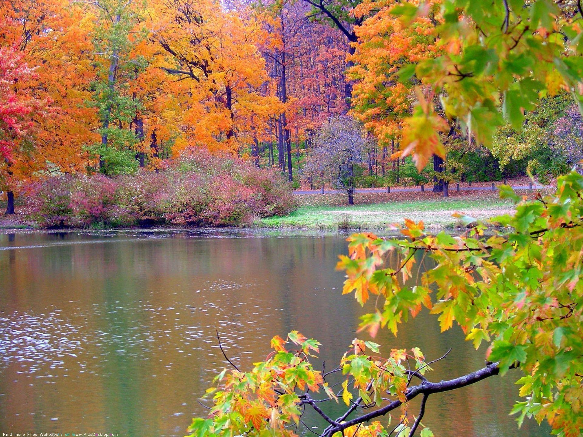 Fall Nature Desktop Wallpapers - Top Free Fall Nature Desktop ...