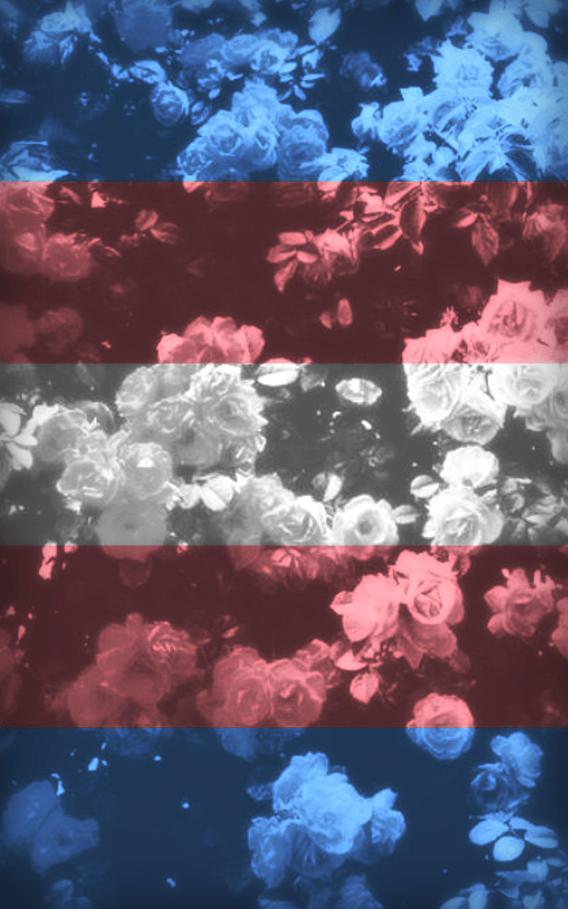 Transgender Aesthetic Wallpapers - Top Free Transgender Aesthetic ...