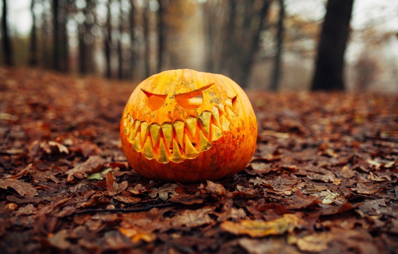 Autumn Halloween Wallpapers - Top Free Autumn Halloween Backgrounds ...