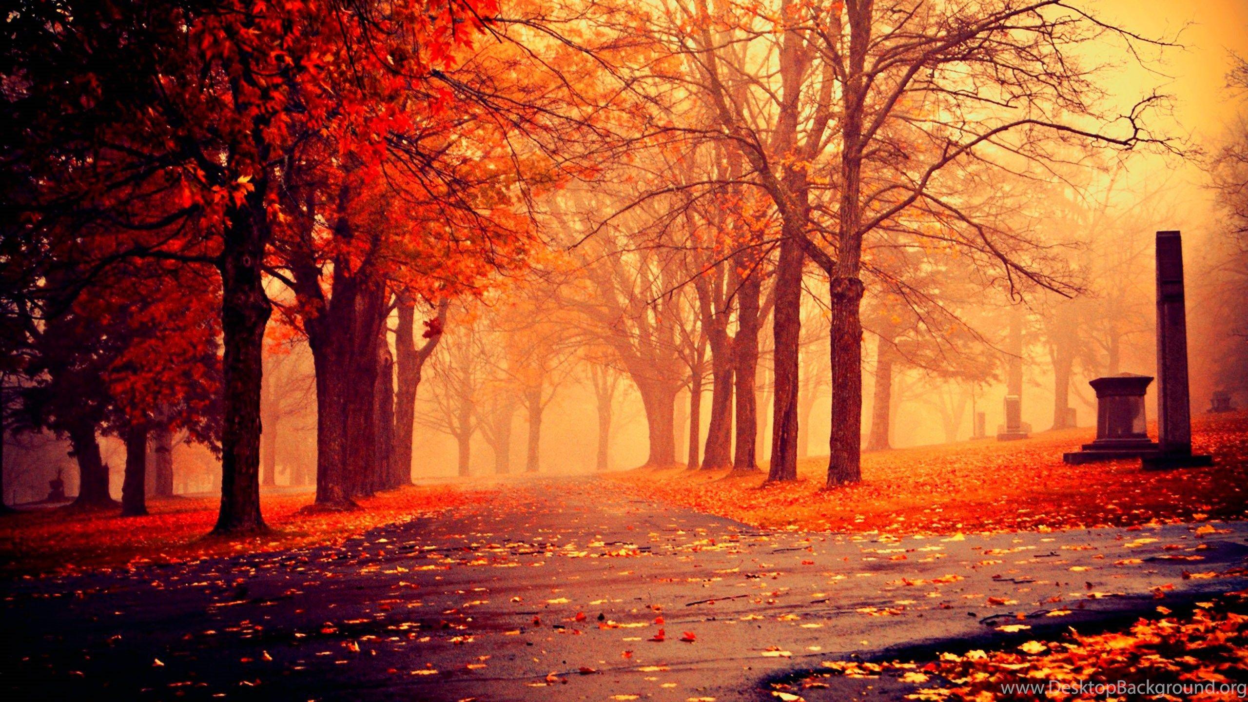 Autumn Halloween Wallpapers - Top Free Autumn Halloween Backgrounds ...