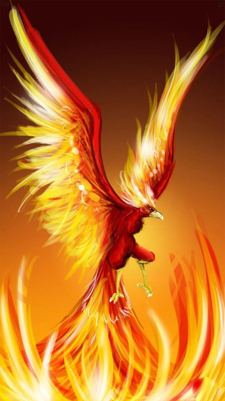 Abstract Phoenix Wallpapers - Top Free Abstract Phoenix Backgrounds ...