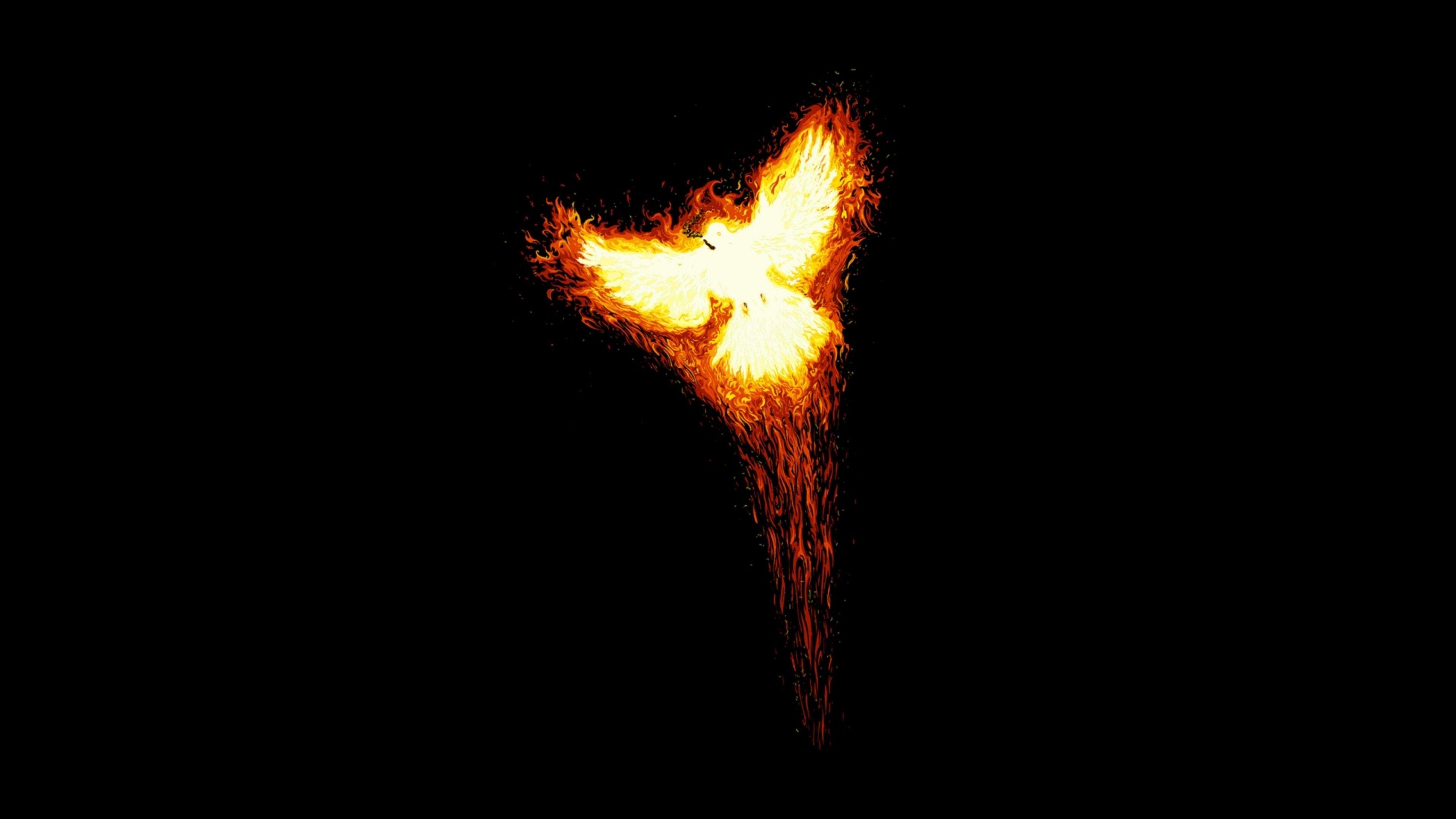 Abstract Phoenix Wallpapers - Top Free Abstract Phoenix Backgrounds ...