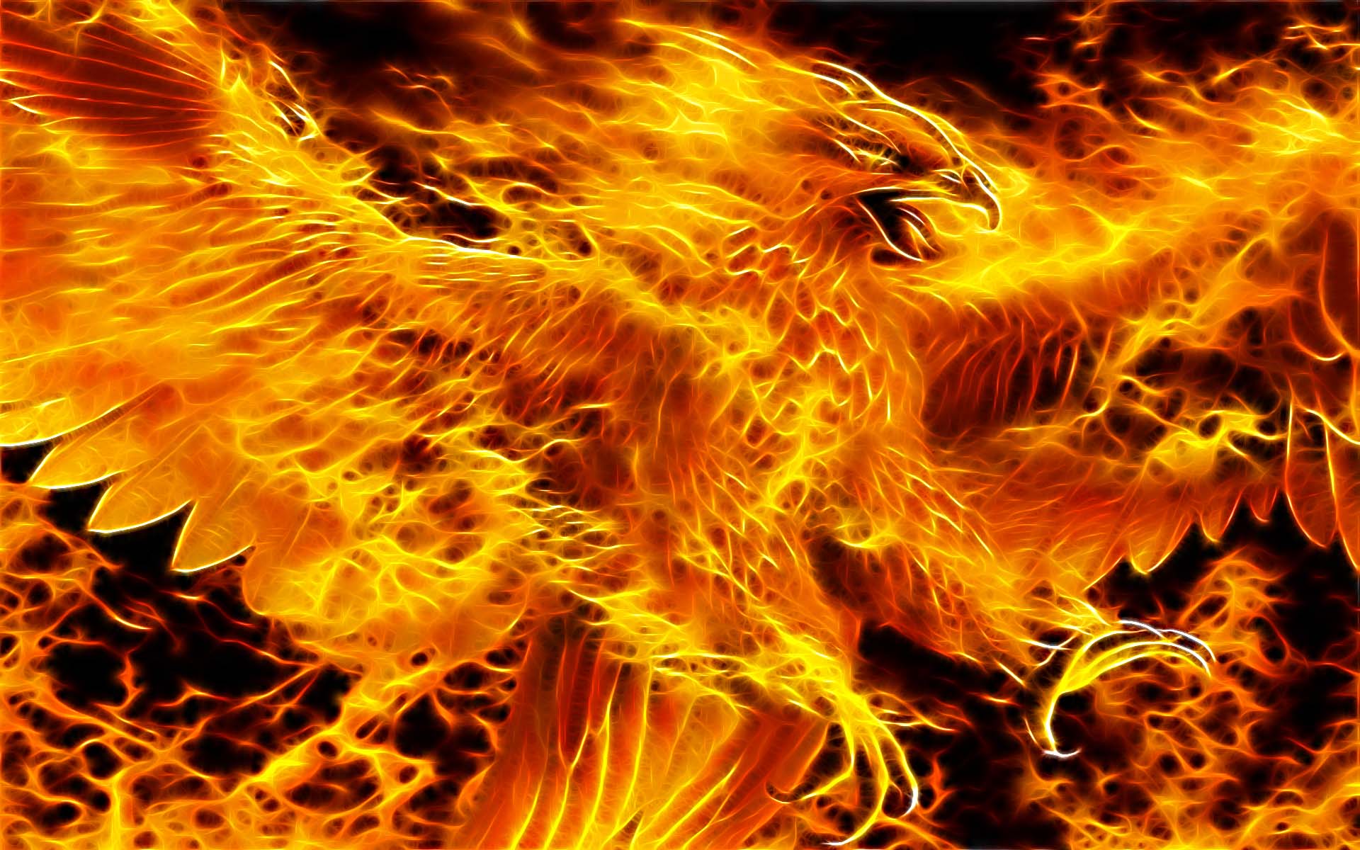 Abstract Phoenix Wallpapers - Top Free Abstract Phoenix Backgrounds ...