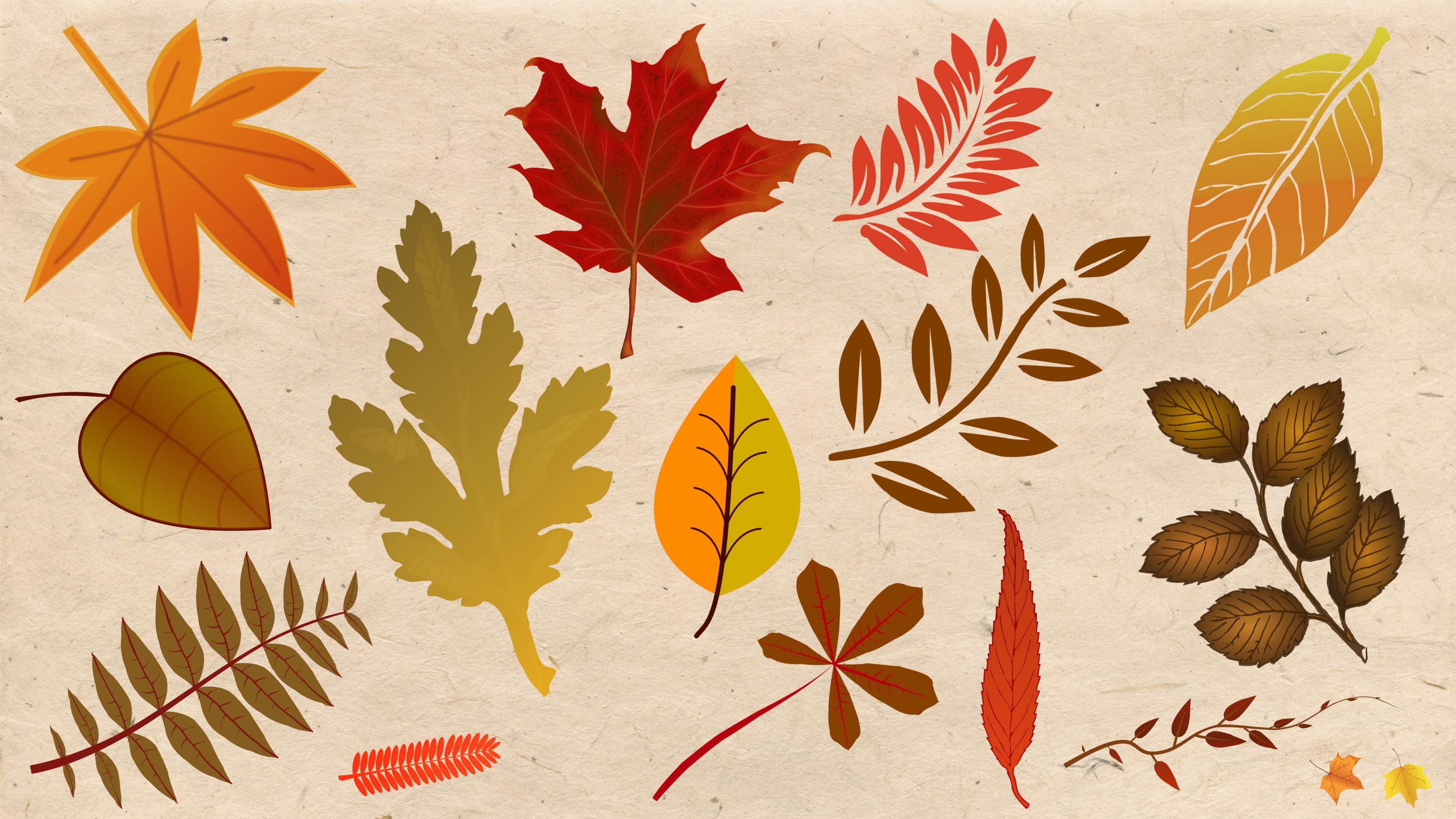 Fall Leaves Desktop Wallpapers - Top Free Fall Leaves Desktop ...
