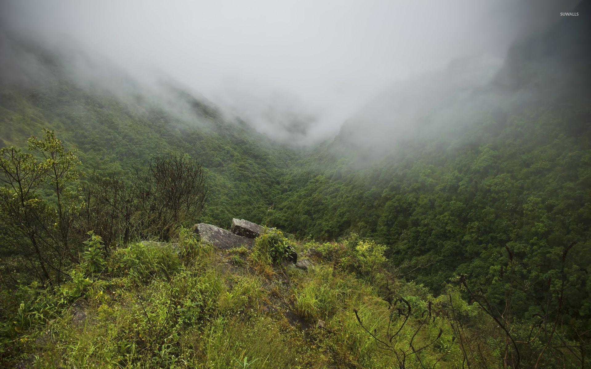 Mountain Forest Wallpapers - Top Free Mountain Forest Backgrounds ...