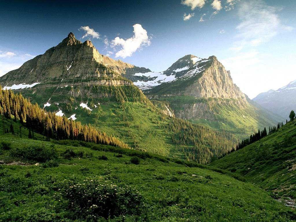 Mountain Forest Wallpapers - Top Free Mountain Forest Backgrounds ...