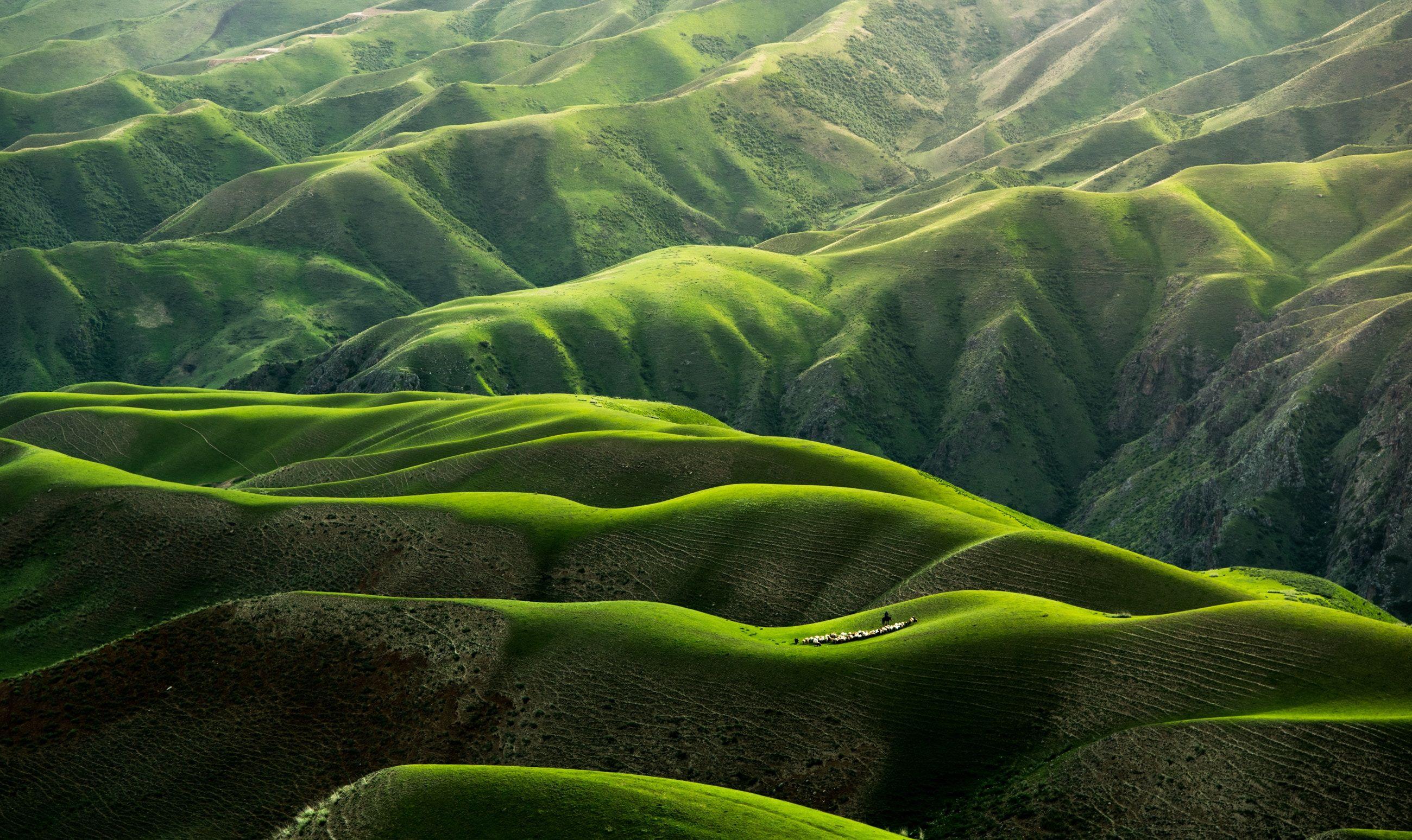 Evergreen Wallpapers - Top Free Evergreen Backgrounds - WallpaperAccess