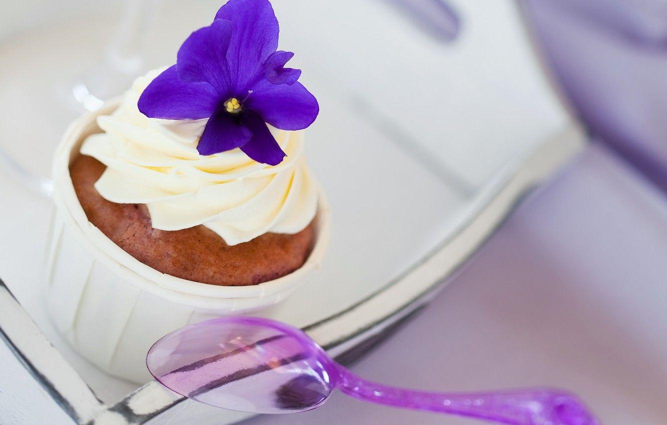Purple Cupcake Wallpapers - Top Free Purple Cupcake Backgrounds ...