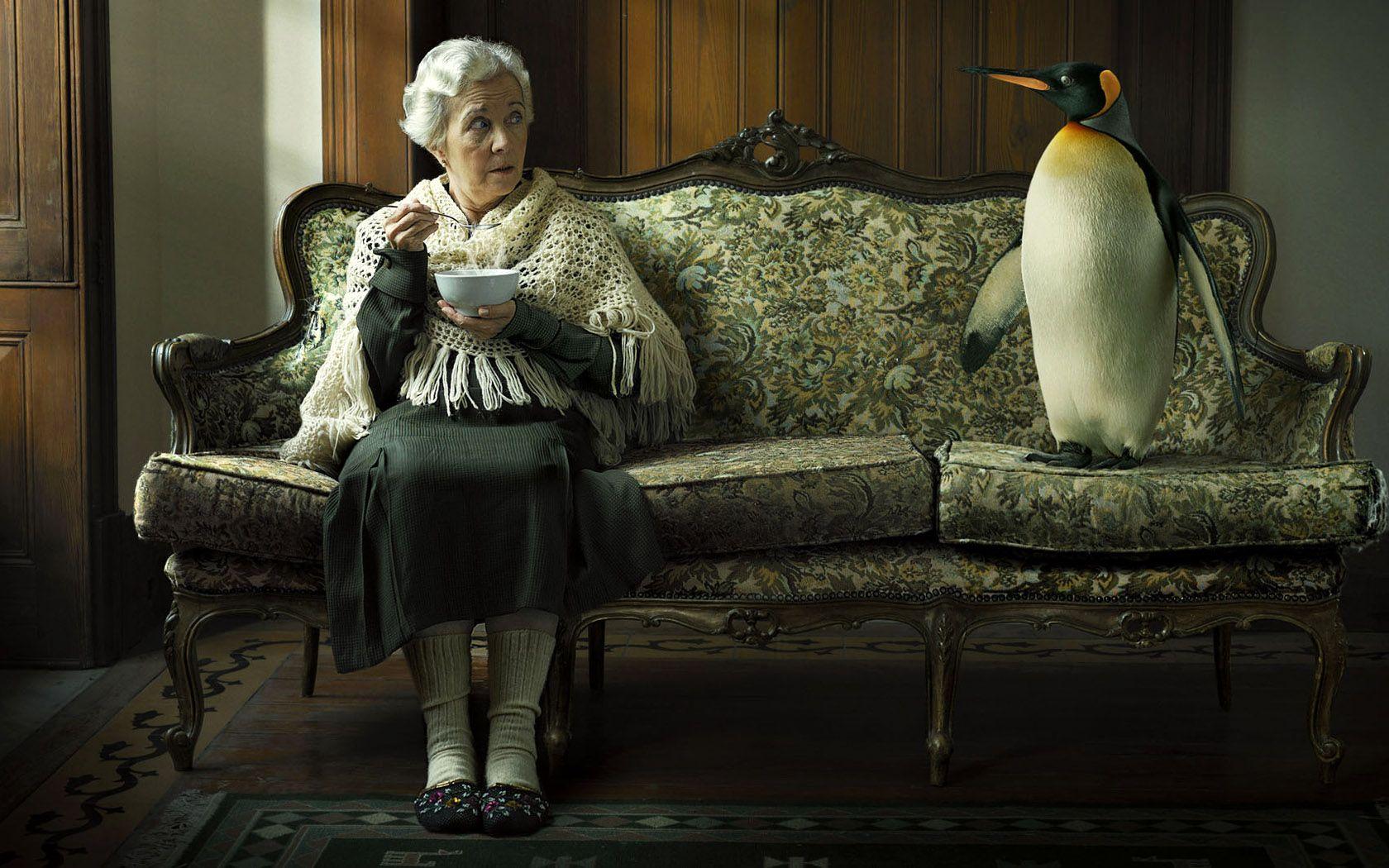 Old Woman Wallpapers - Top Free Old Woman Backgrounds - WallpaperAccess