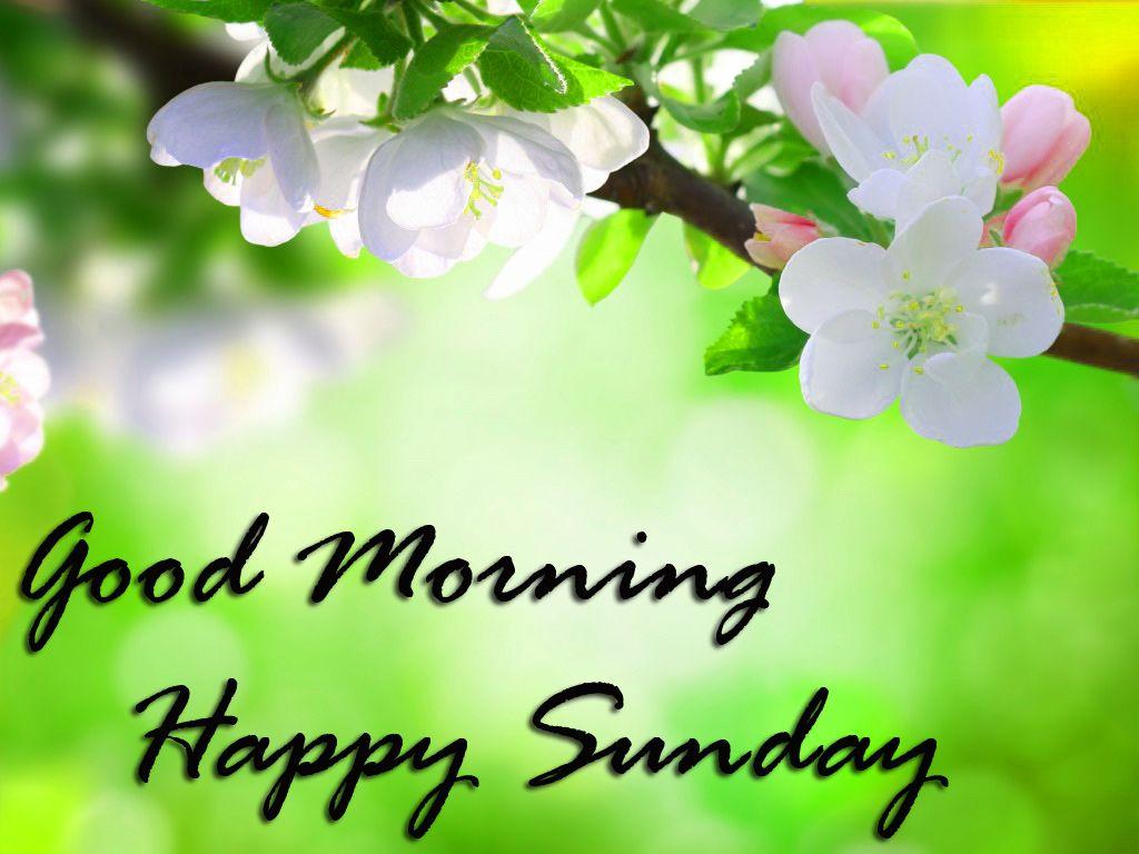 Happy Sunday Wallpapers - Top Free Happy Sunday Backgrounds ...