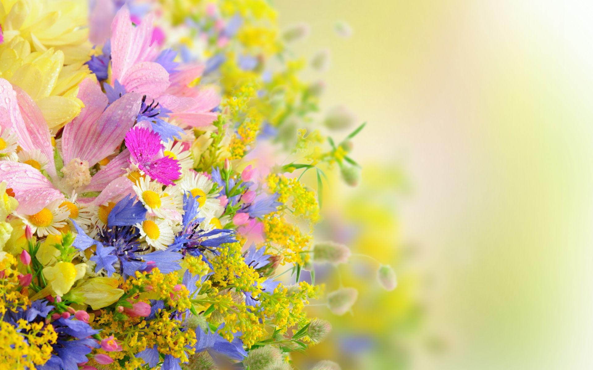 Pastel Flower Wallpapers - Top Free Pastel Flower Backgrounds - WallpaperAccess