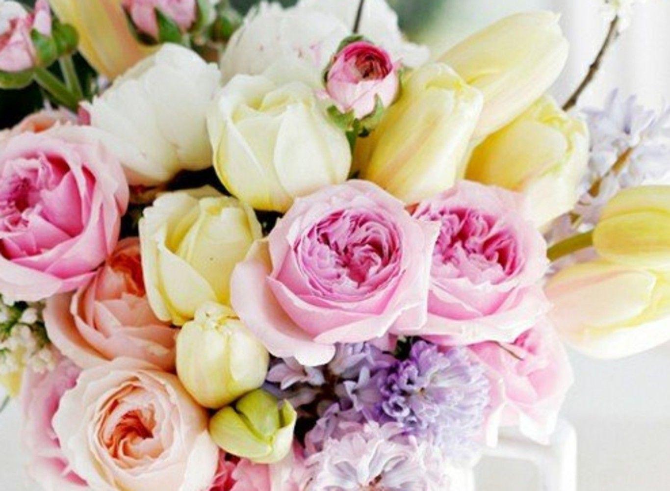 Pastel Flower Wallpapers - Top Free Pastel Flower Backgrounds - WallpaperAccess