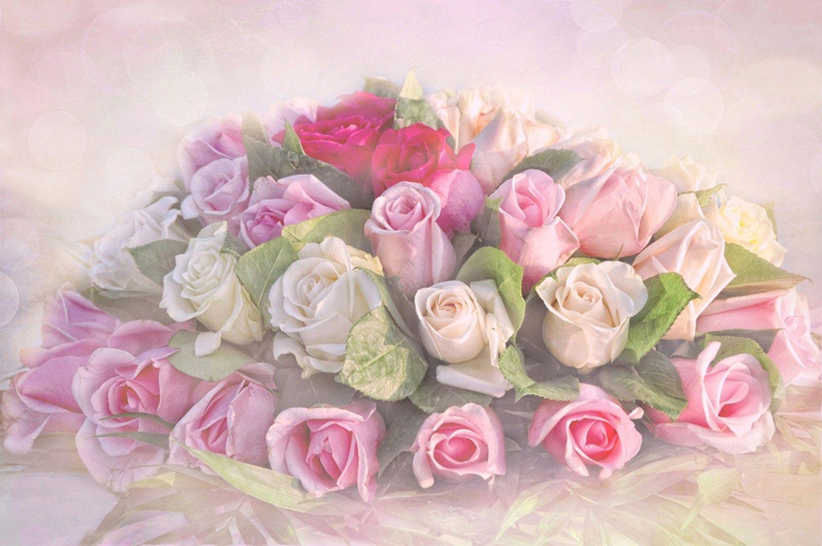 Pastel Flower Wallpapers - Top Free Pastel Flower Backgrounds ...