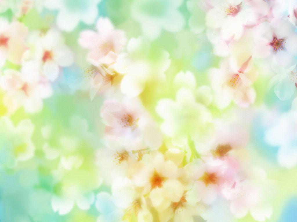 Pastel Flower Wallpapers - Top Free Pastel Flower Backgrounds - WallpaperAccess