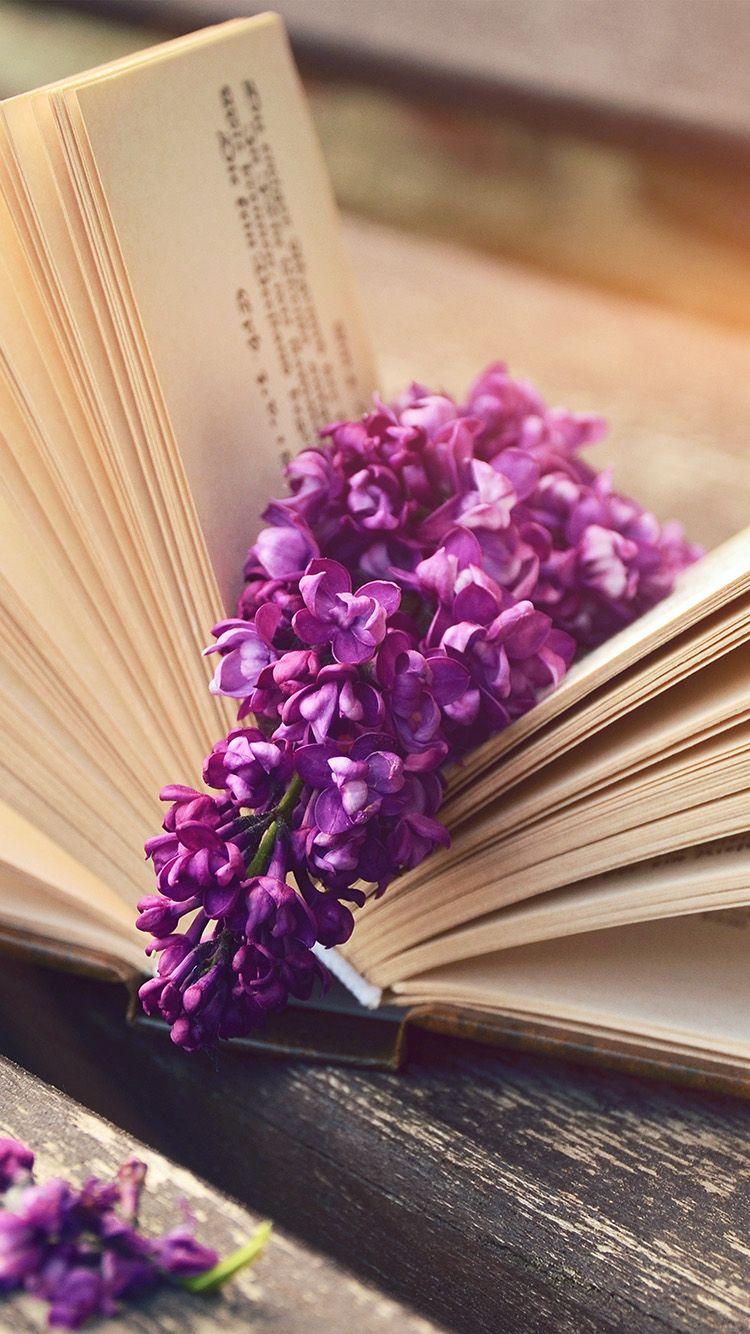 Book iPhone Wallpapers - Top Free Book iPhone Backgrounds - WallpaperAccess