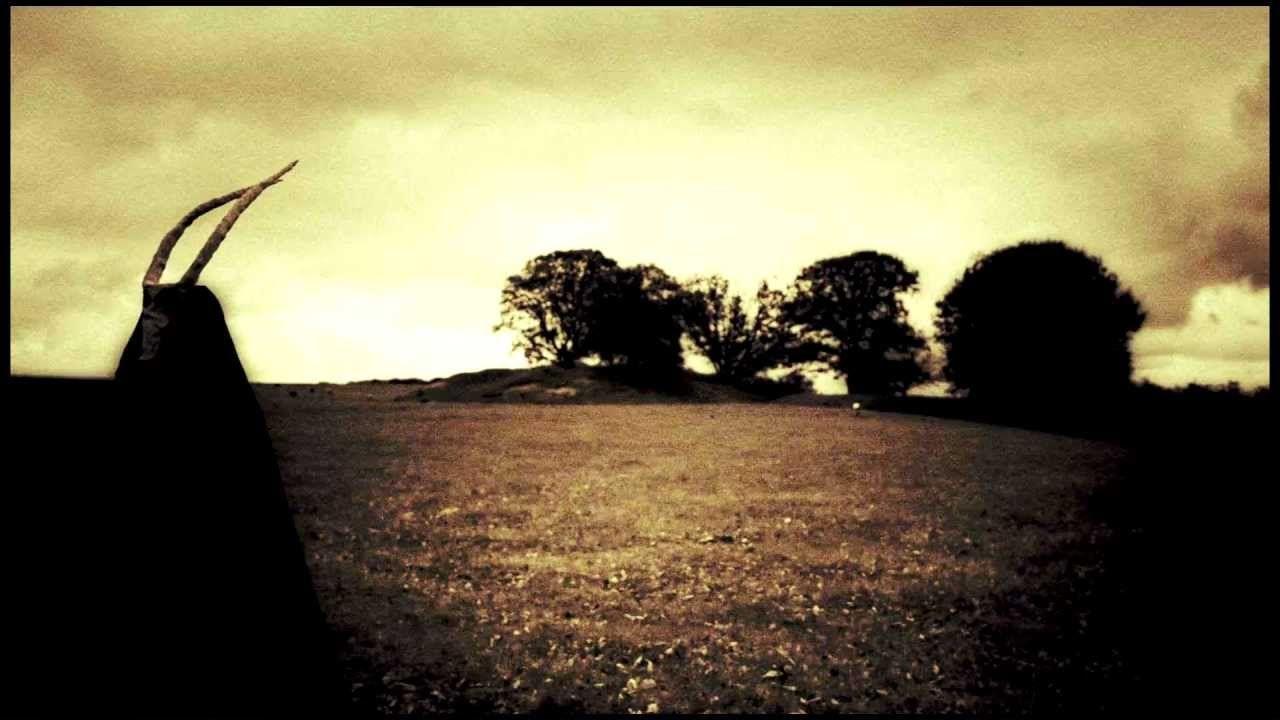 Steven Wilson Wallpapers - Top Free Steven Wilson Backgrounds ...