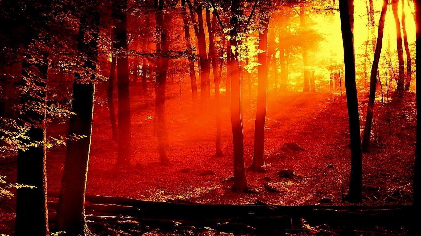 Vivaldi Wallpapers - Top Free Vivaldi Backgrounds - WallpaperAccess