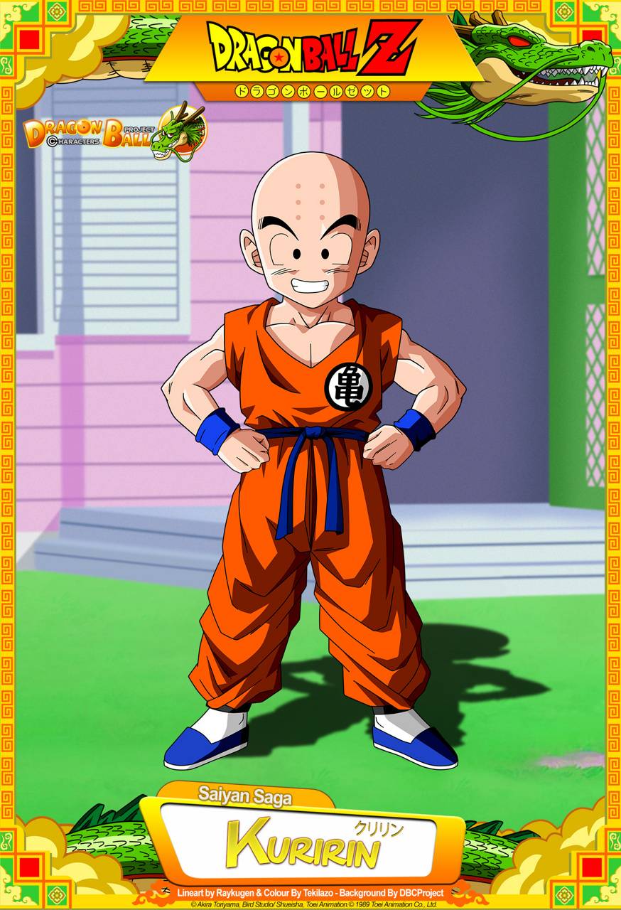 Kuririn Wallpapers - Top Free Kuririn Backgrounds - WallpaperAccess