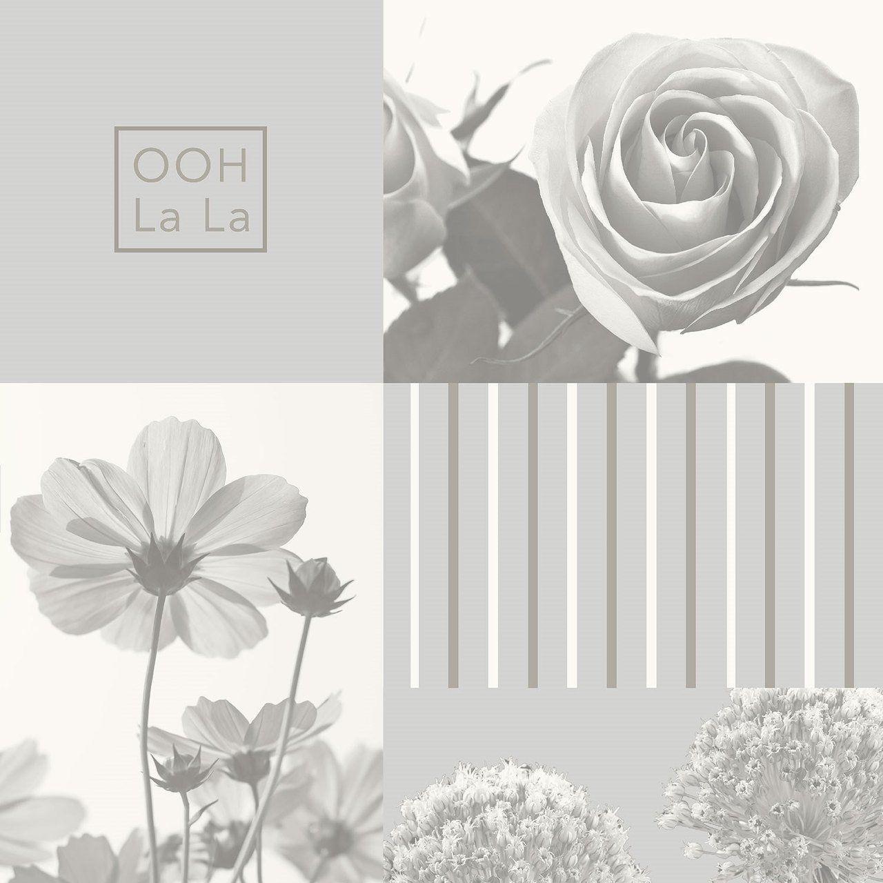 Flower Collage Wallpapers - Top Free Flower Collage Backgrounds ...