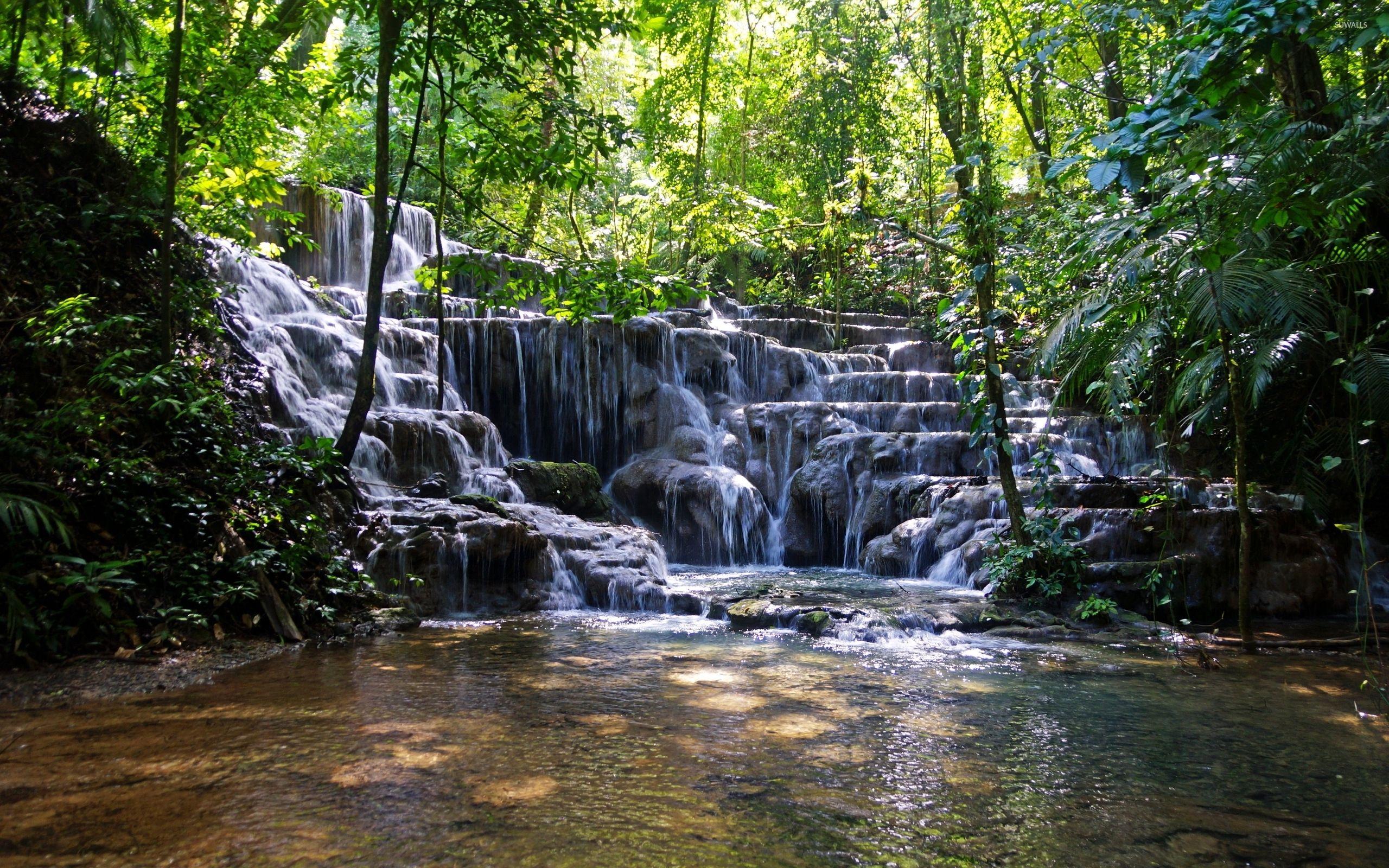 Forest Water Wallpapers - Top Free Forest Water Backgrounds ...