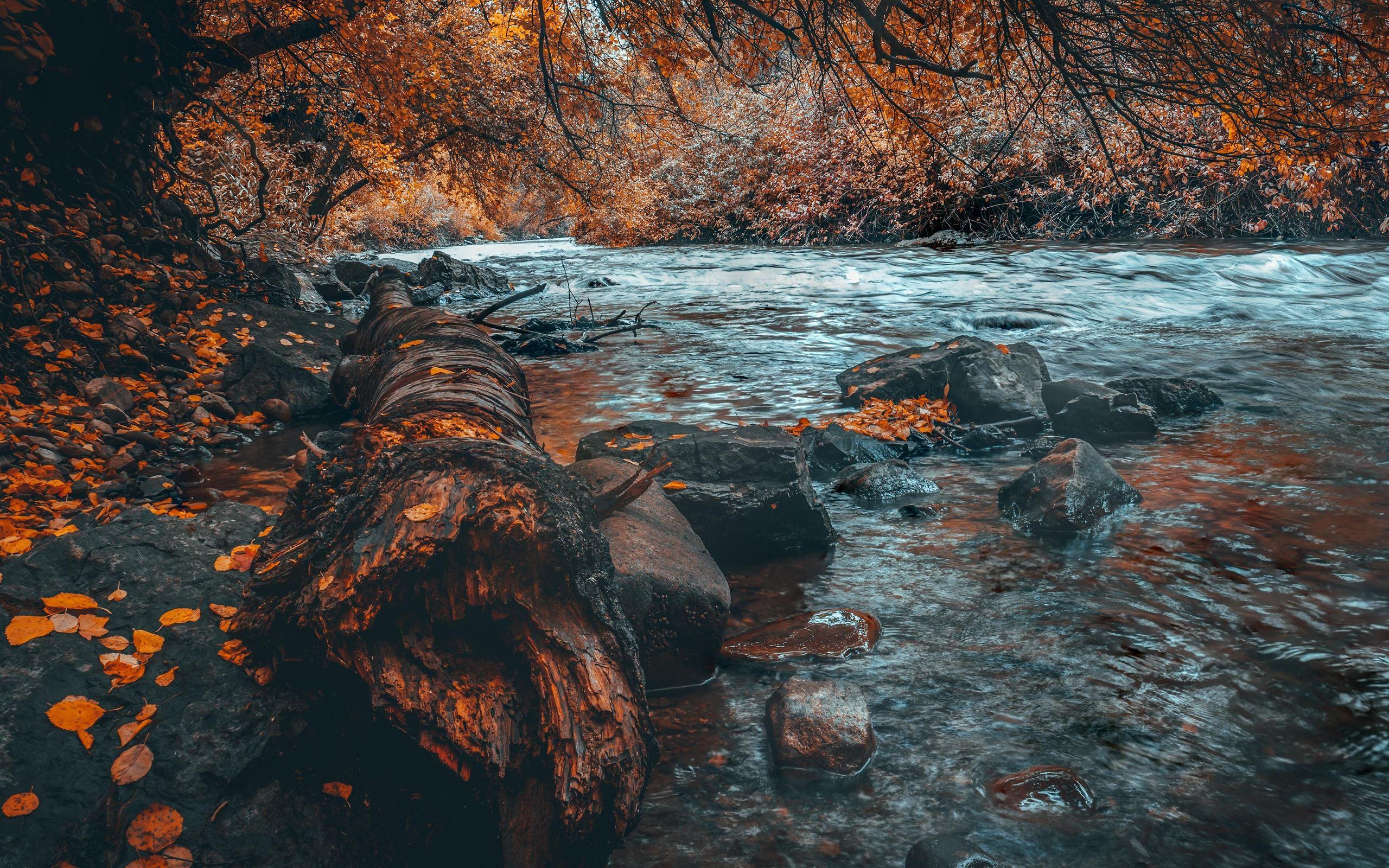 Forest Water Wallpapers - Top Free Forest Water Backgrounds ...