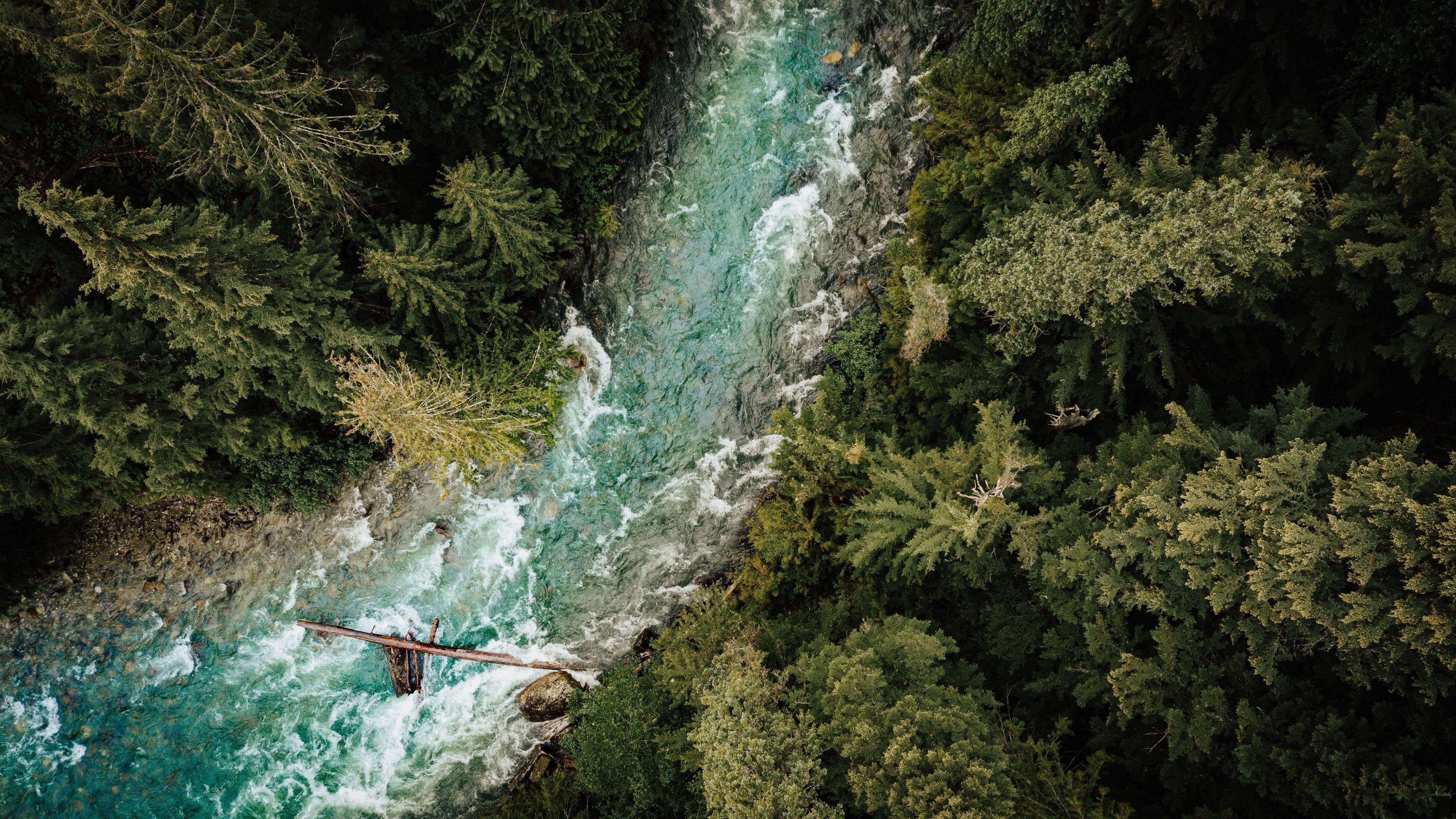 Forest Water Wallpapers - Top Free Forest Water Backgrounds ...