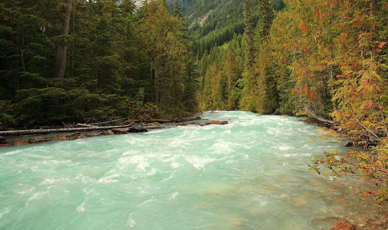 Forest Water Wallpapers - Top Free Forest Water Backgrounds ...