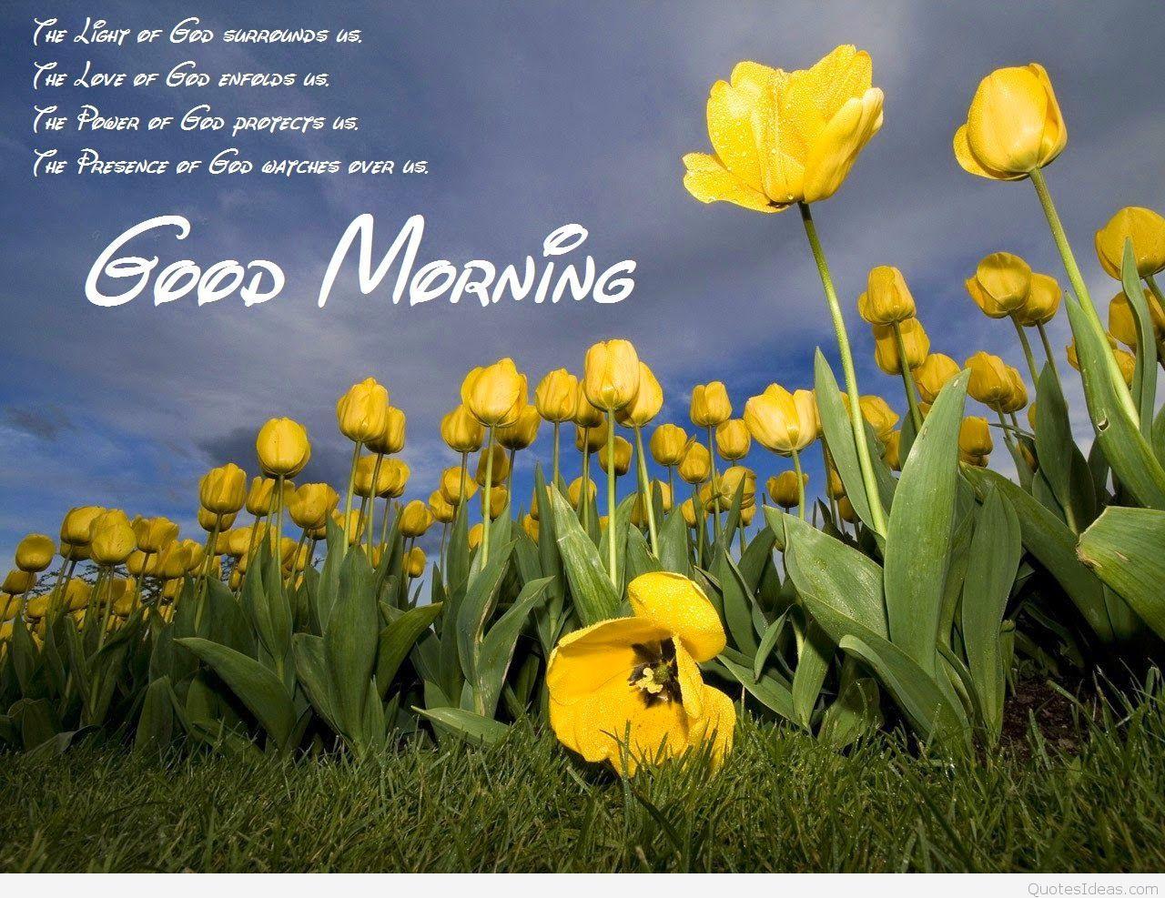 Good Morning Beautiful Wallpapers - Top Free Good Morning Beautiful ...