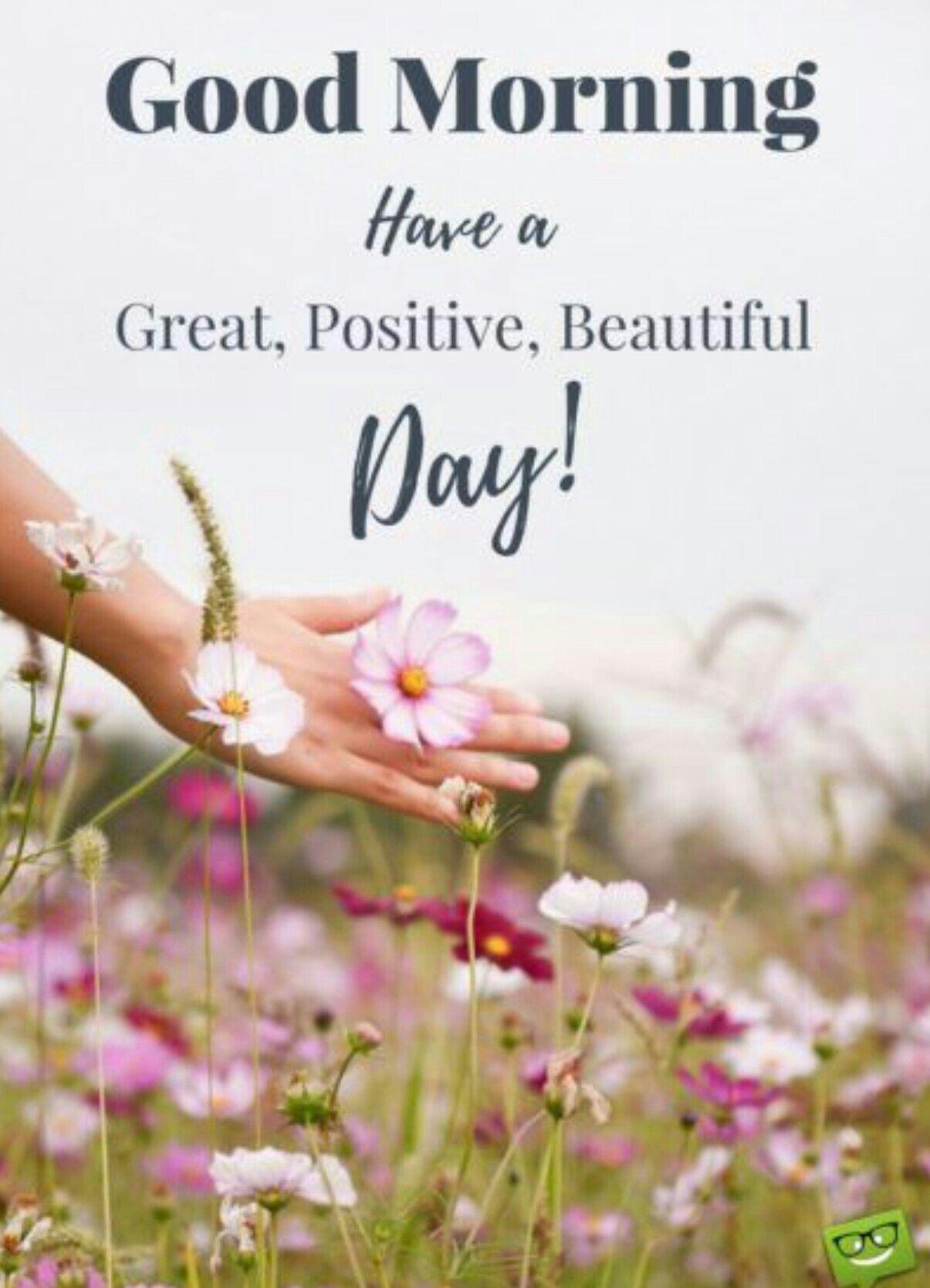 Good Morning Sunshine Wallpapers - Top Free Good Morning Sunshine ...