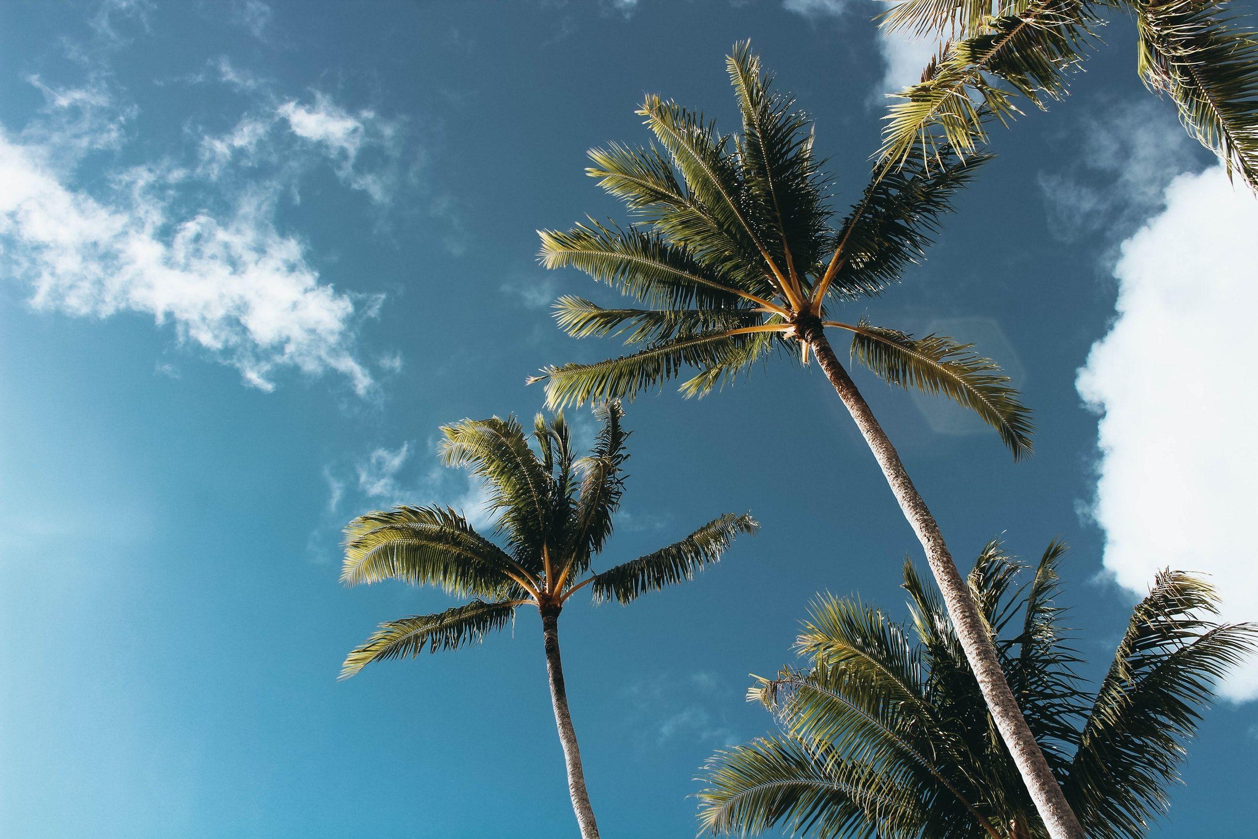 Daytime Wallpapers - Top Free Daytime Backgrounds - WallpaperAccess