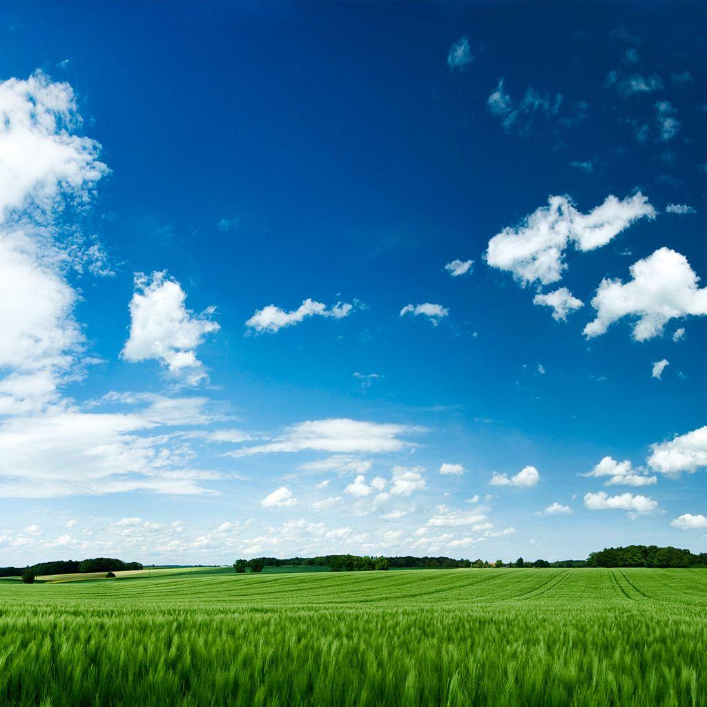 Grassy Field Wallpapers - Top Free Grassy Field Backgrounds ...
